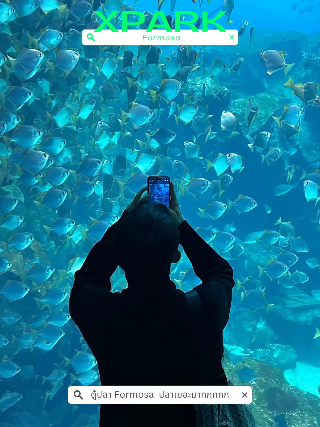 X-PARK AQUARIUM at TAOYUAN มาดูน้องอุ๋งกัน 🦈🦭🦀 | แกลเลอรีที่โพสต์โดย txteaux | Lemon8