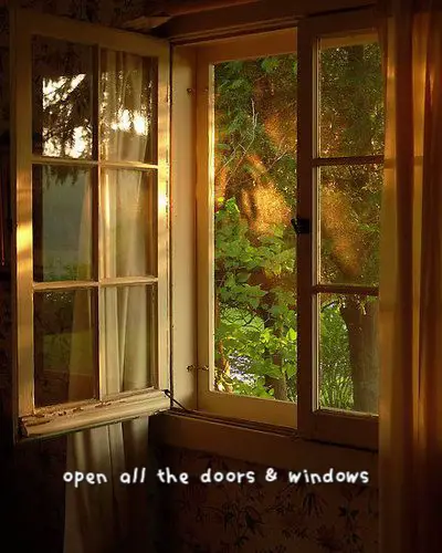 read this b4 moving into ur new hse! 🏠🏮🍍 | Gallery posted by ⋆.˚🦋༘⋆jingyi ᰔᩚ | Lemon8