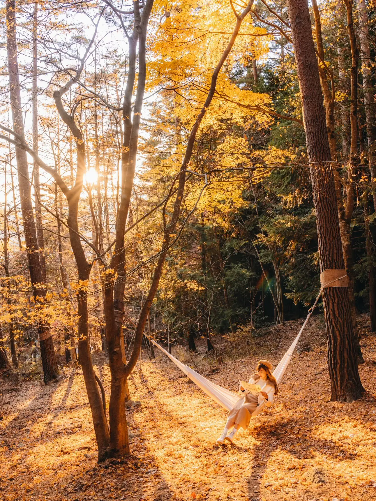 Hoshinoya Fujisan | แกลเลอรีที่โพสต์โดย Lazy Coup | Lemon8