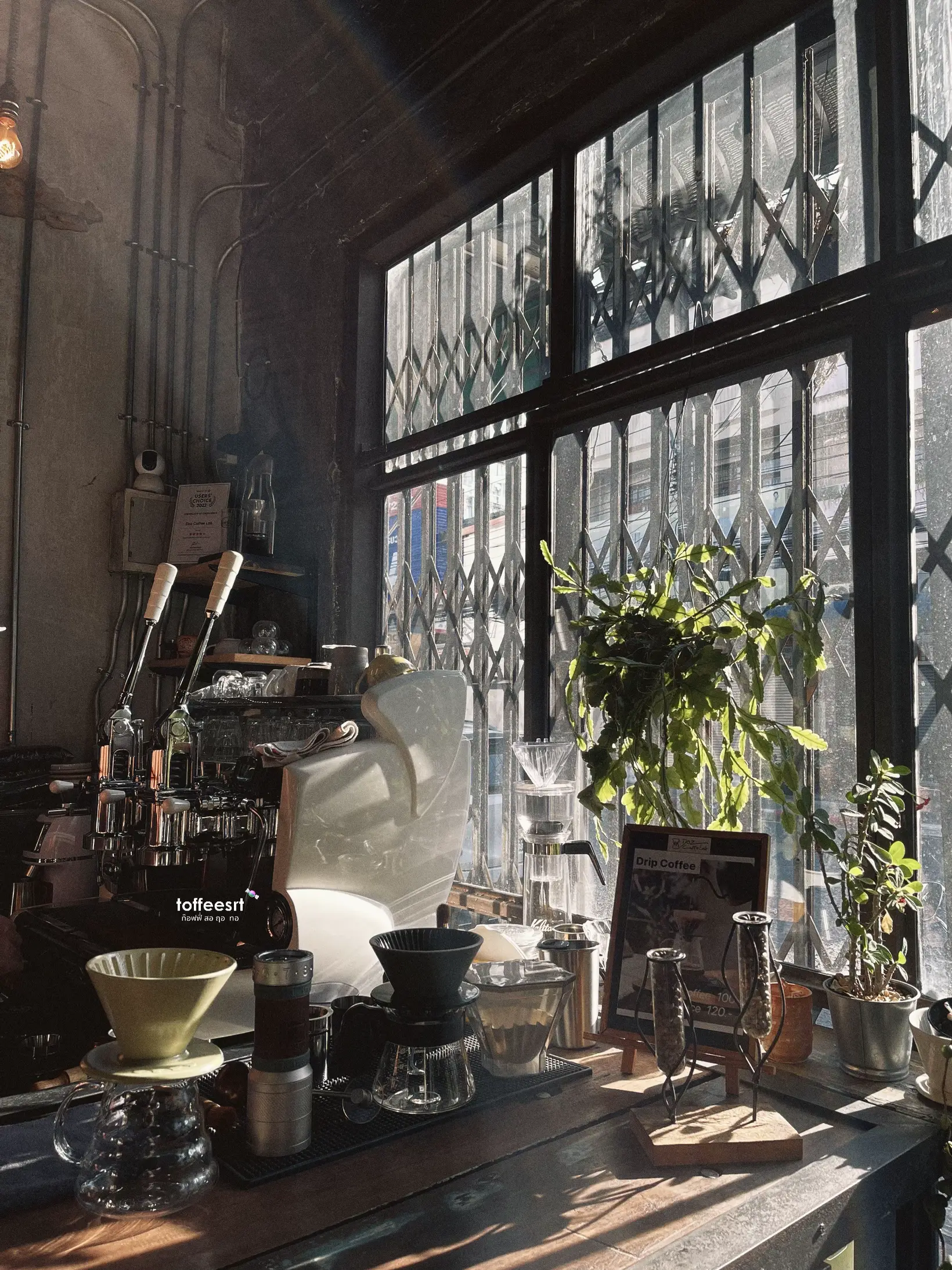 คาเฟ่คั่วเมล็ดเองตัวเมืองสุราษฎร์ Doz Coffee Lab ☕️ | แกลเลอรีที่โพสต์ ...