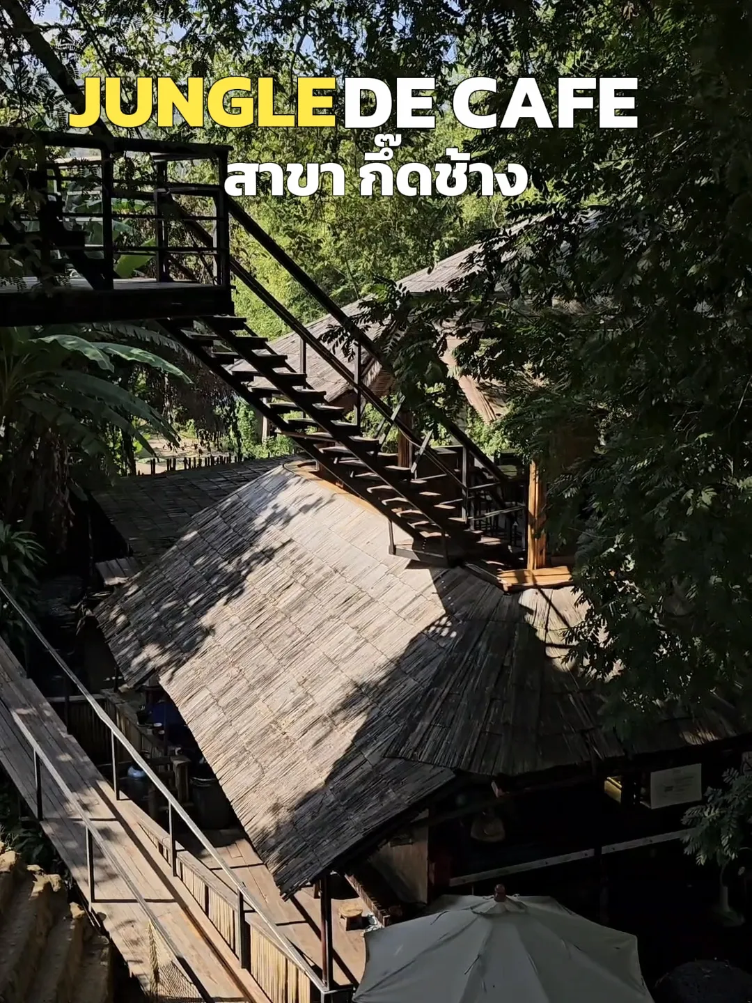 JUNGLE DE CAFE สาขากึ๊ดช้าง คาเฟ่ติดริมน้ำ (CNX) 🏞 | แกลเลอรีที่โพสต์โดย gamerbuster | Lemon8