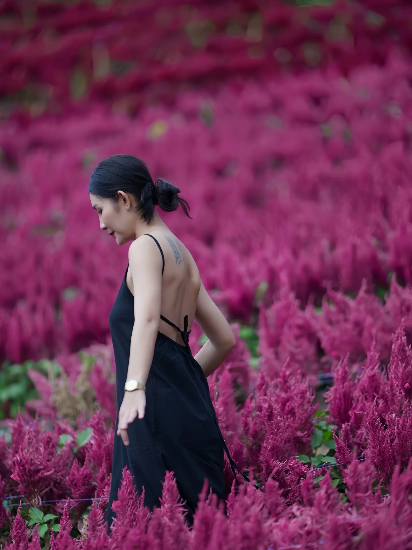 เที่ยว Hydrangea Cafe เขาค้อ | แกลเลอรีที่โพสต์โดย Laaongdow Homkr | Lemon8