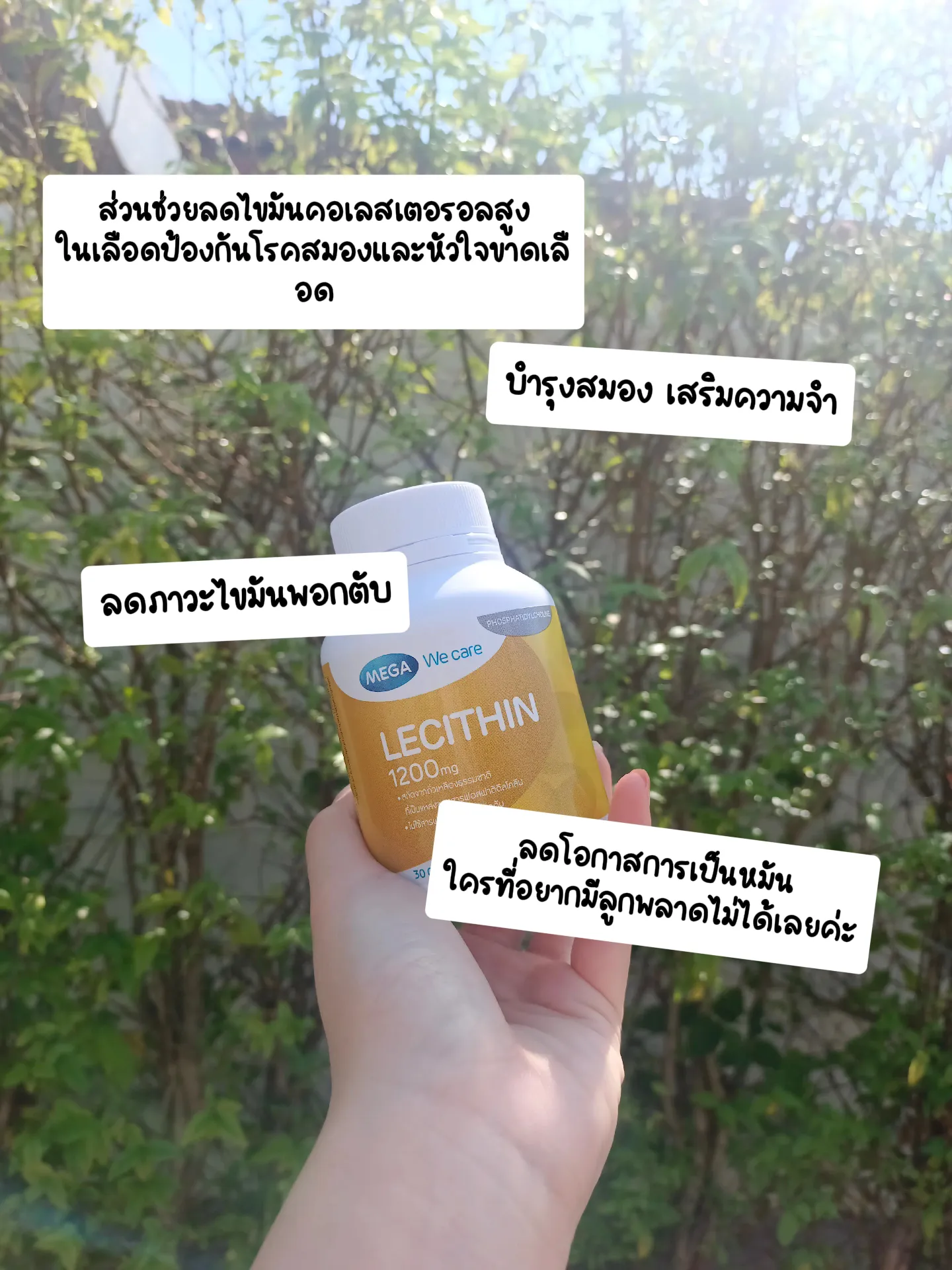 ประโยชน์ของเลซิติน (Lecithin) | แกลเลอรีที่โพสต์โดย Sweetblossom | Lemon8