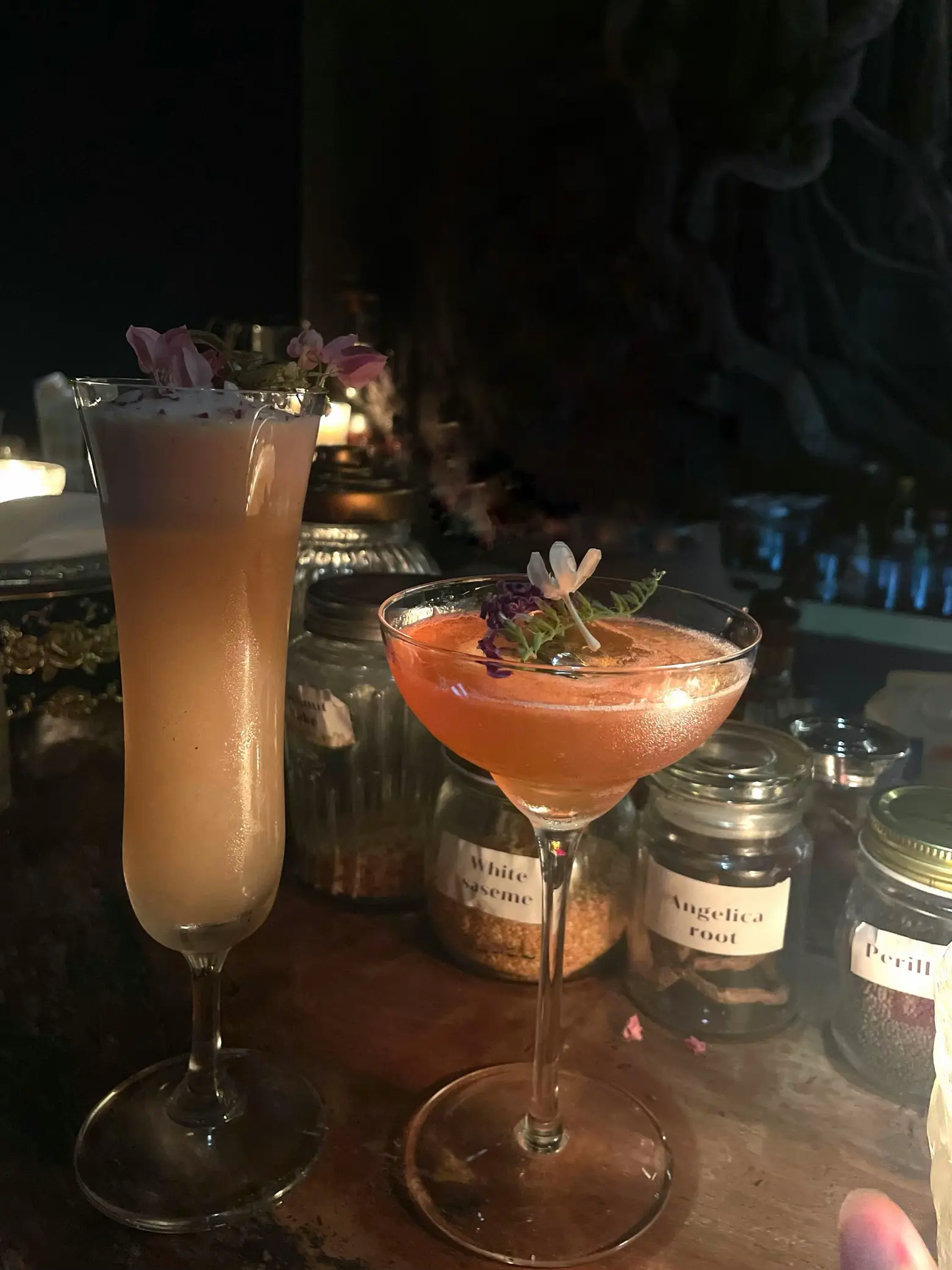 Root Bar บาร์ลับของจริงย่านลาดพร้าว!🍸 | แกลเลอรีที่โพสต์โดย chuuu🦮 | Lemon8