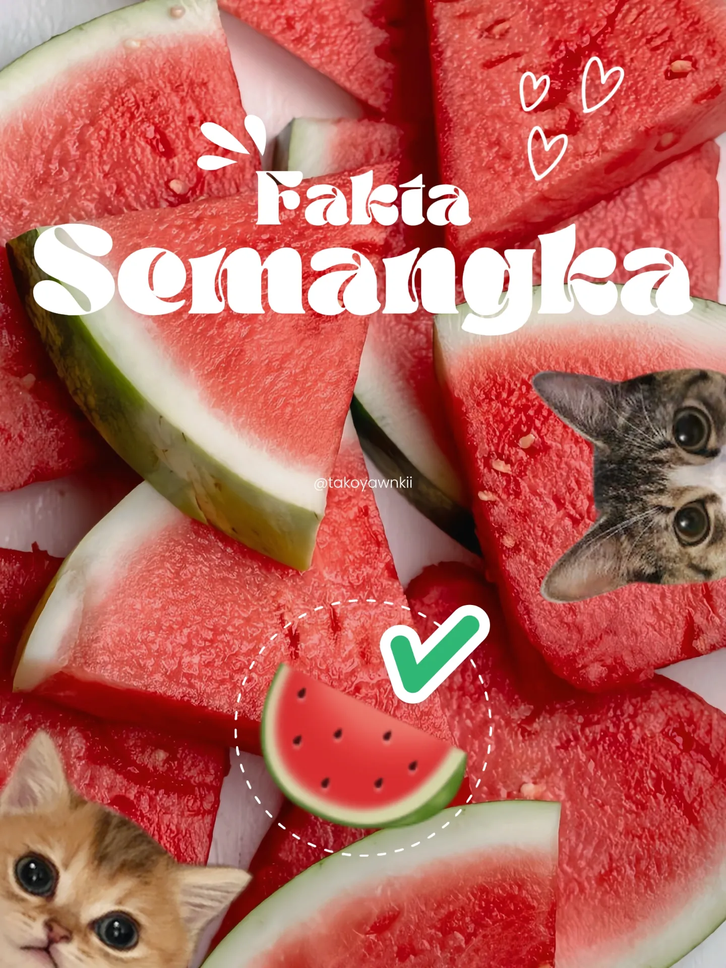 All About Semangka 🍉🍉🍉 | Galeri diposting oleh mi yan | Lemon8