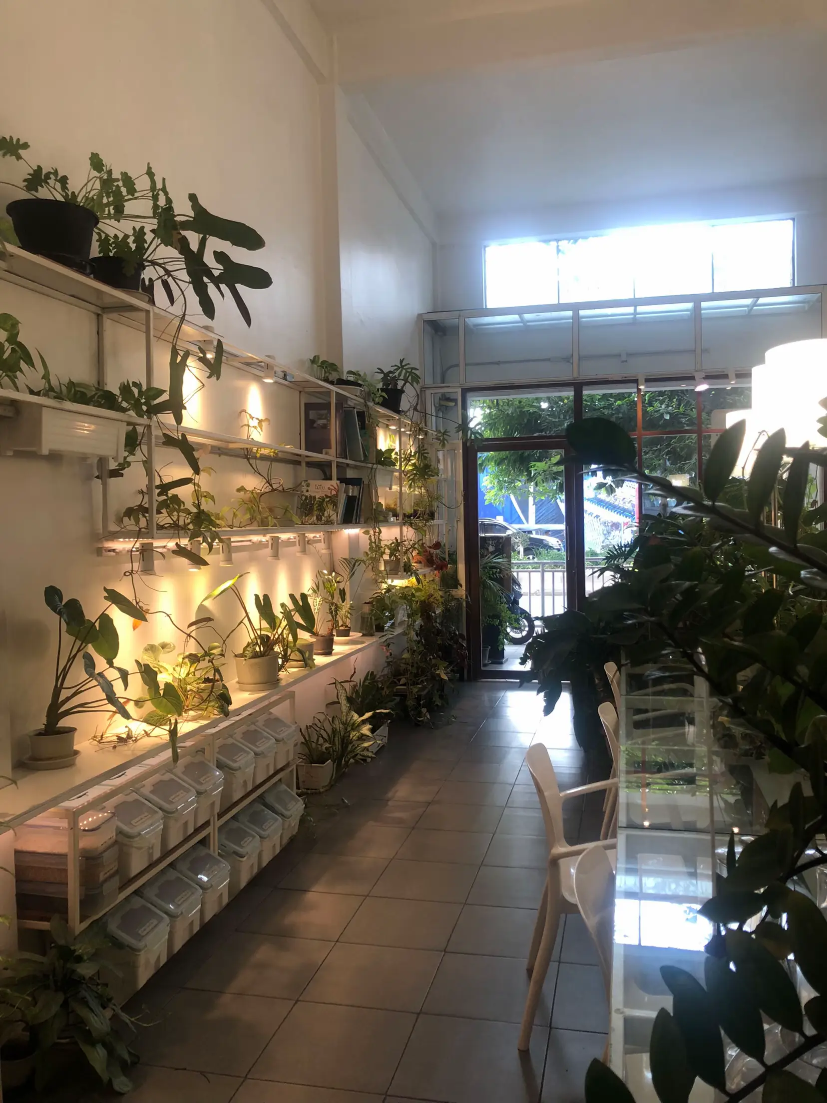 ☕️ Plant workshop cafe | แกลเลอรีที่โพสต์โดย de' | Lemon8