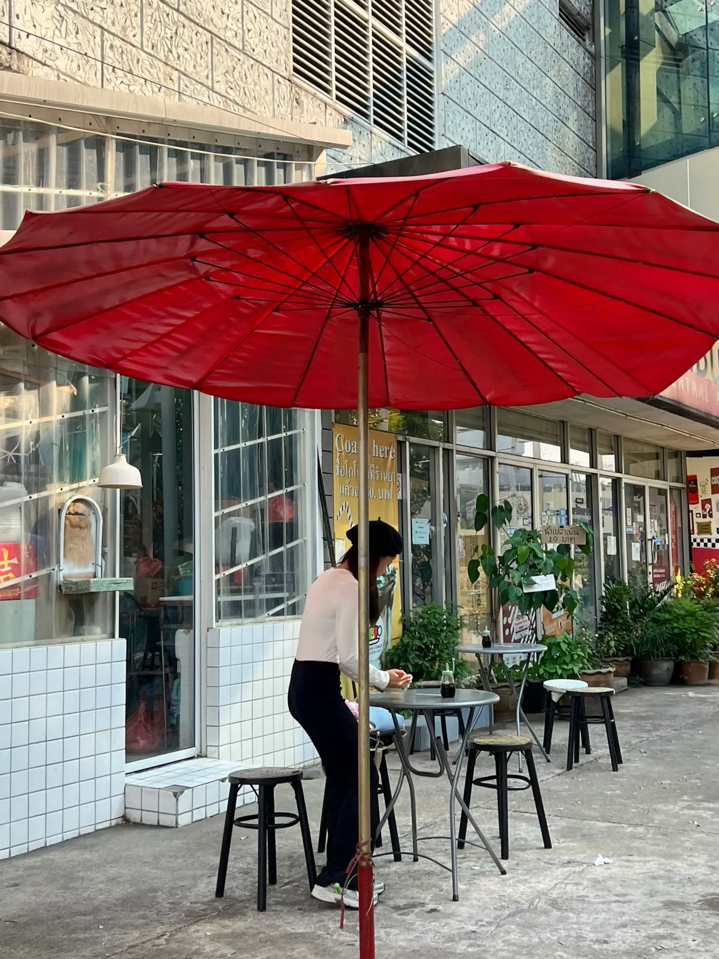 Feng Zhu เฟิงจู - การค้นหาใน Lemon8