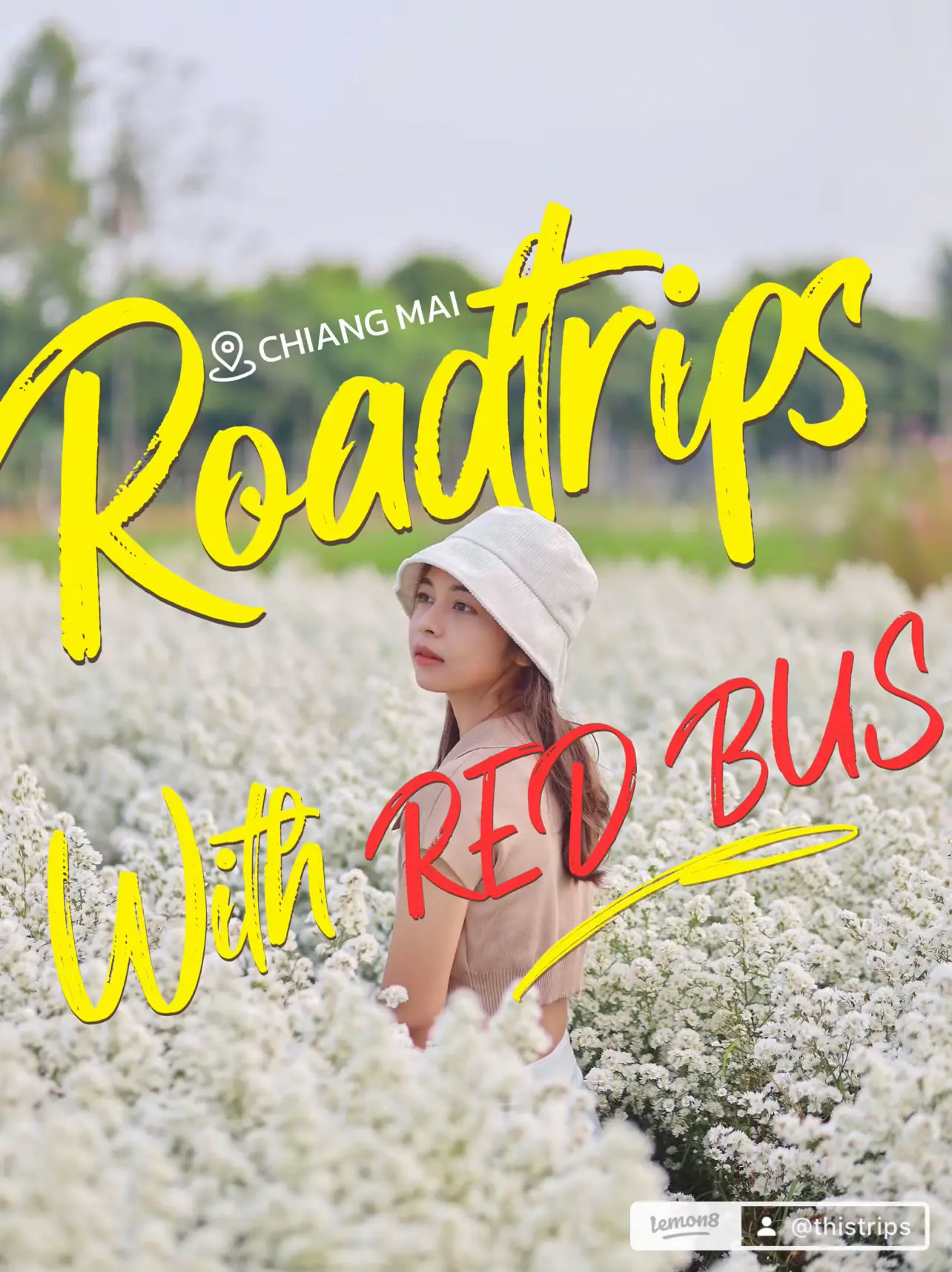 🚗Mao Red Car 1,200 Baht Travel Mae Rim Mai🌿 | Gallery posted by Thistrips | Lemon8