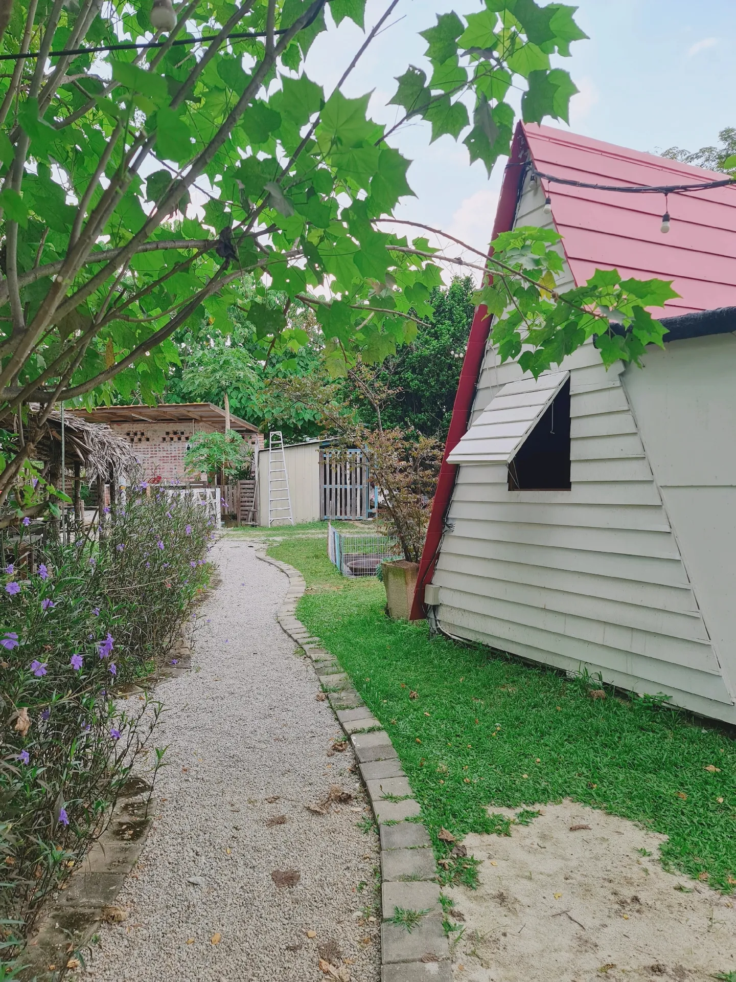 Rain Tree Farm Penang very cozy farm to visit | Galeri disiarkan oleh Misa ʕ •ᴥ•ʔゝ☆ | Lemon8