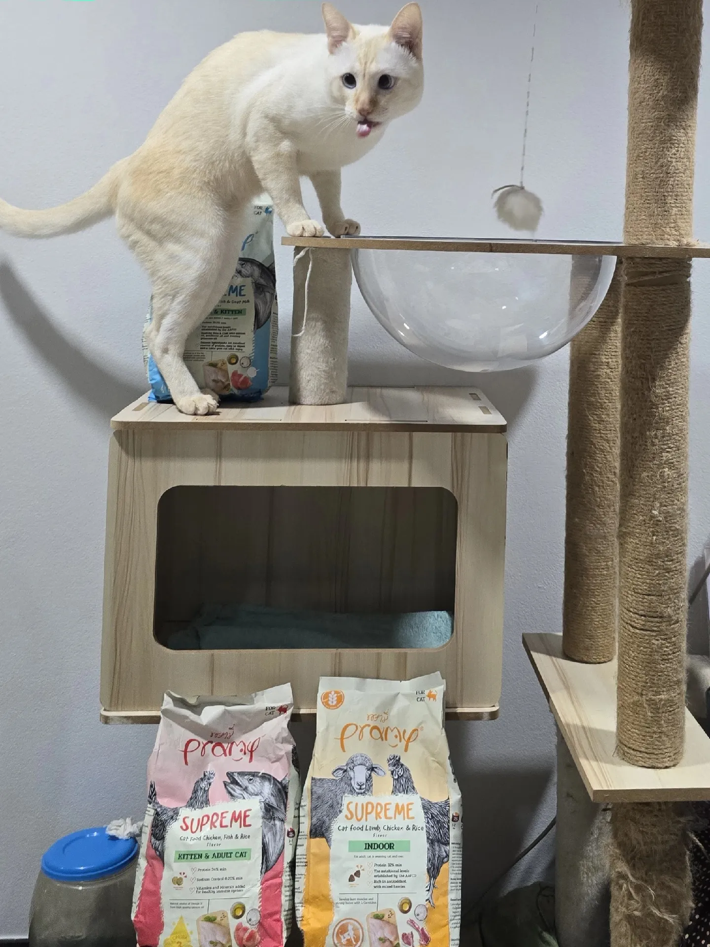 Pramy Supreme cat food 😋 | แกลเลอรีที่โพสต์โดย เคไอเอฟ | Lemon8