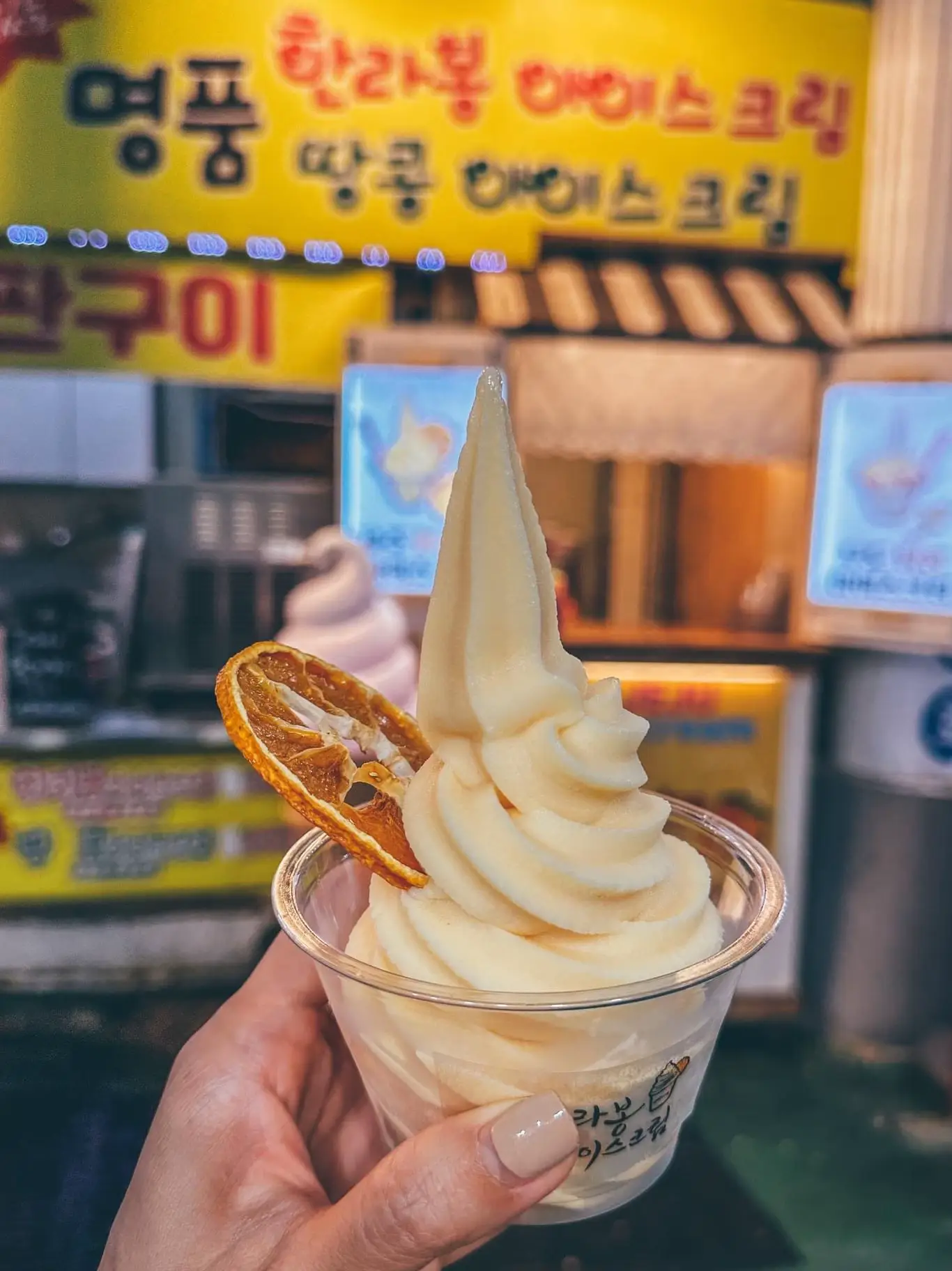 6 Hours in Jeju, Seogwipo South Korea | แกลเลอรีที่โพสต์โดย Whenwewander | Lemon8