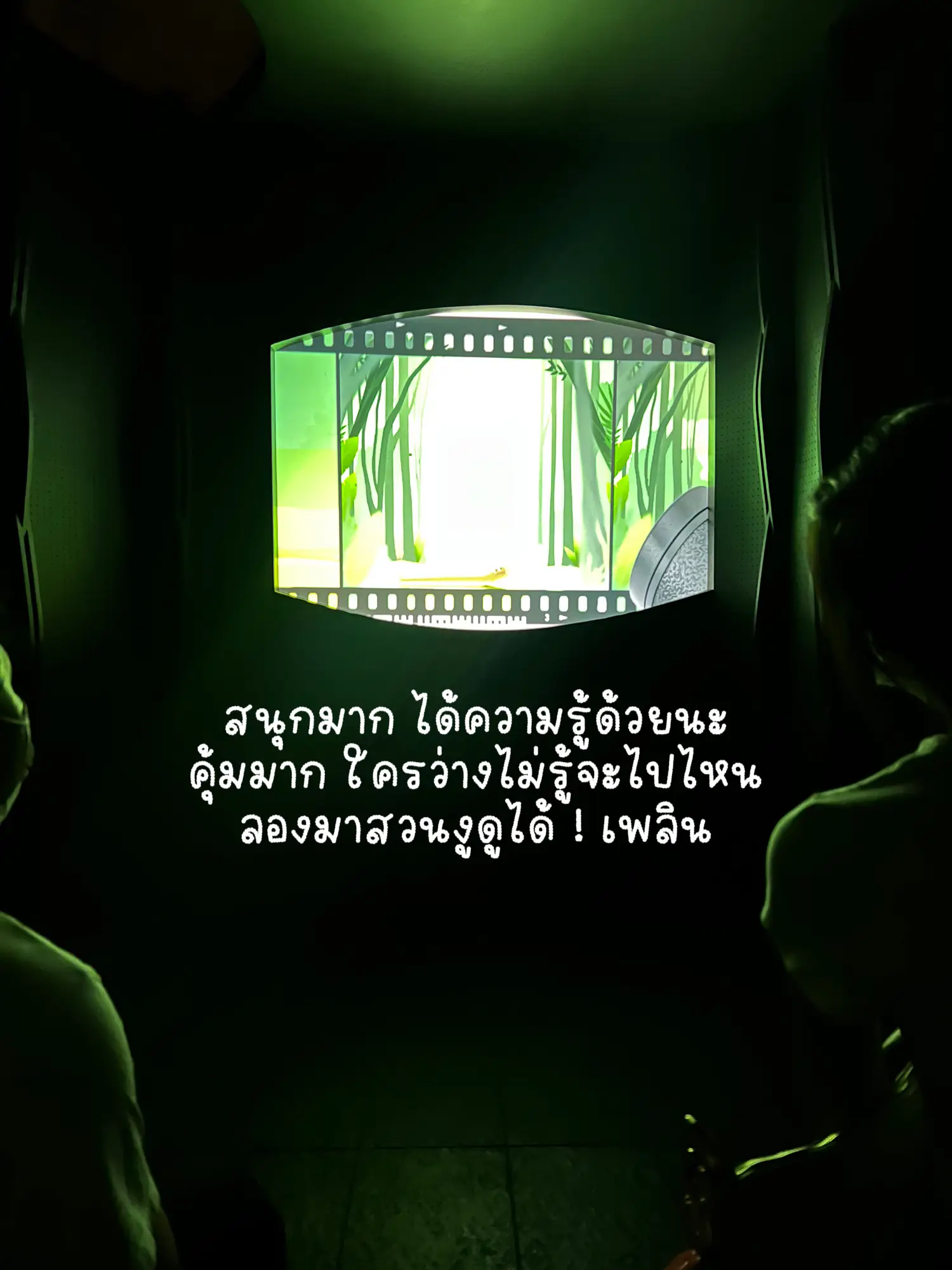 เที่ยวสวนงู🐍💨 ค่าเข้า20บาท!! | แกลเลอรีที่โพสต์โดย roployro🍮 | Lemon8