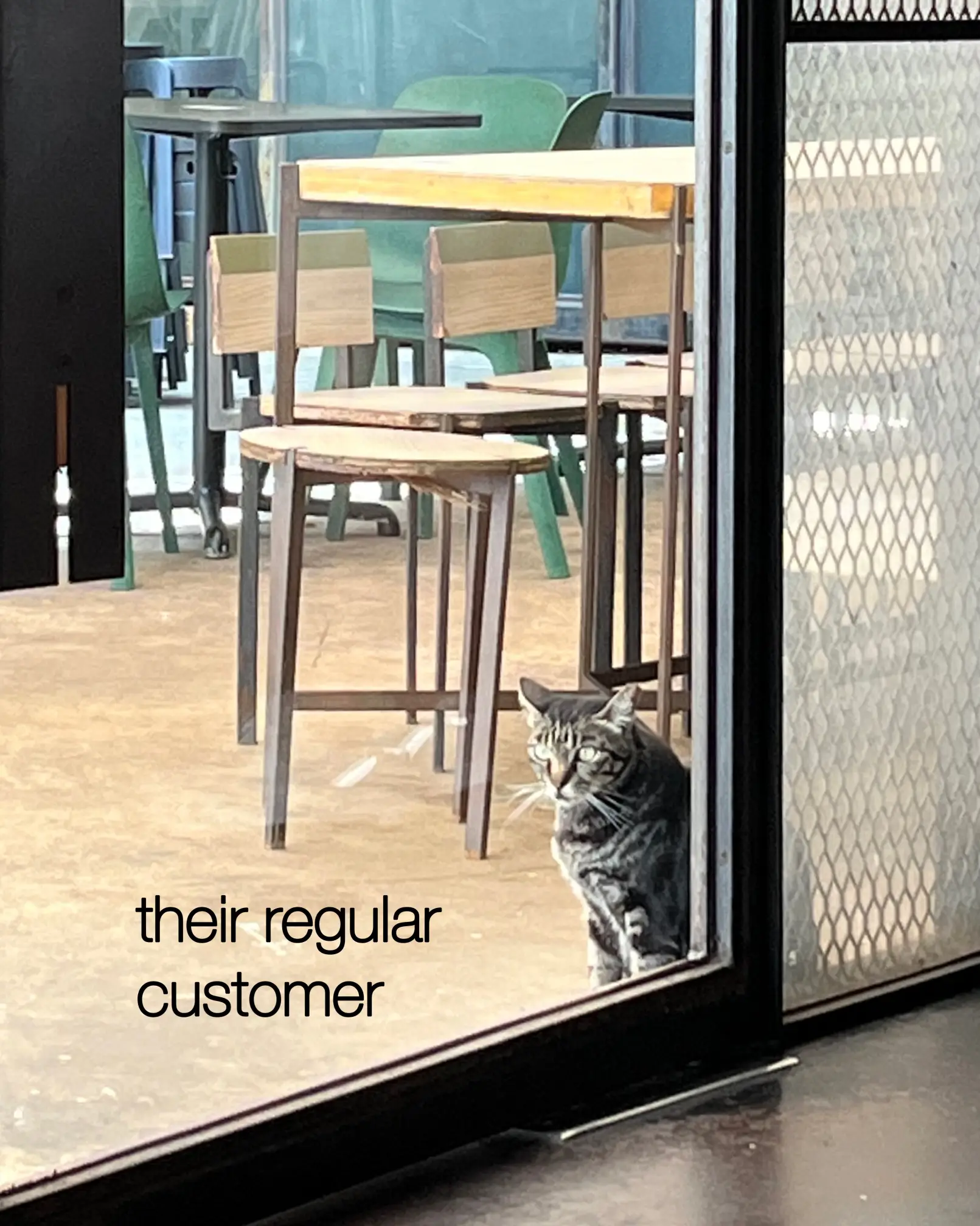 hardware store turned Coffee Bar ☕️ | Gallery posted by bhabie | Lemon8