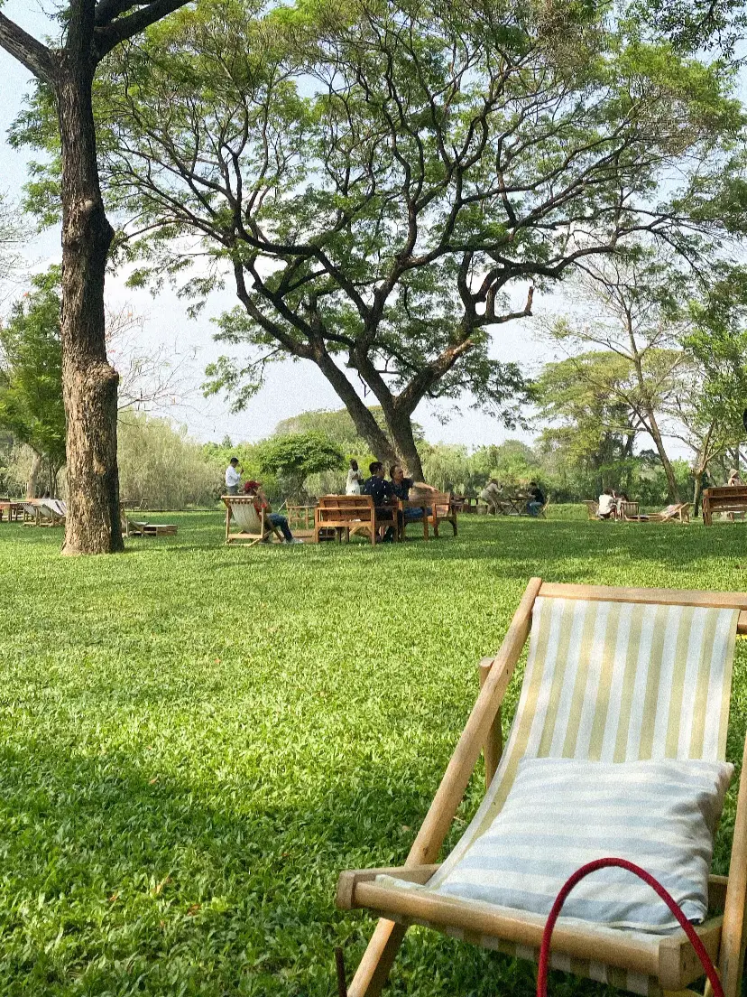 Mulberry Mellow คาเฟ่กาญจนบุรี🌲 | แกลเลอรีที่โพสต์โดย wwara🍳😋 | Lemon8