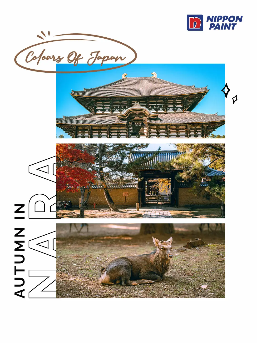 🇯🇵Colours of Japan | Autumn in Nara 🍁 | Gallery posted by Nippon Paint ...