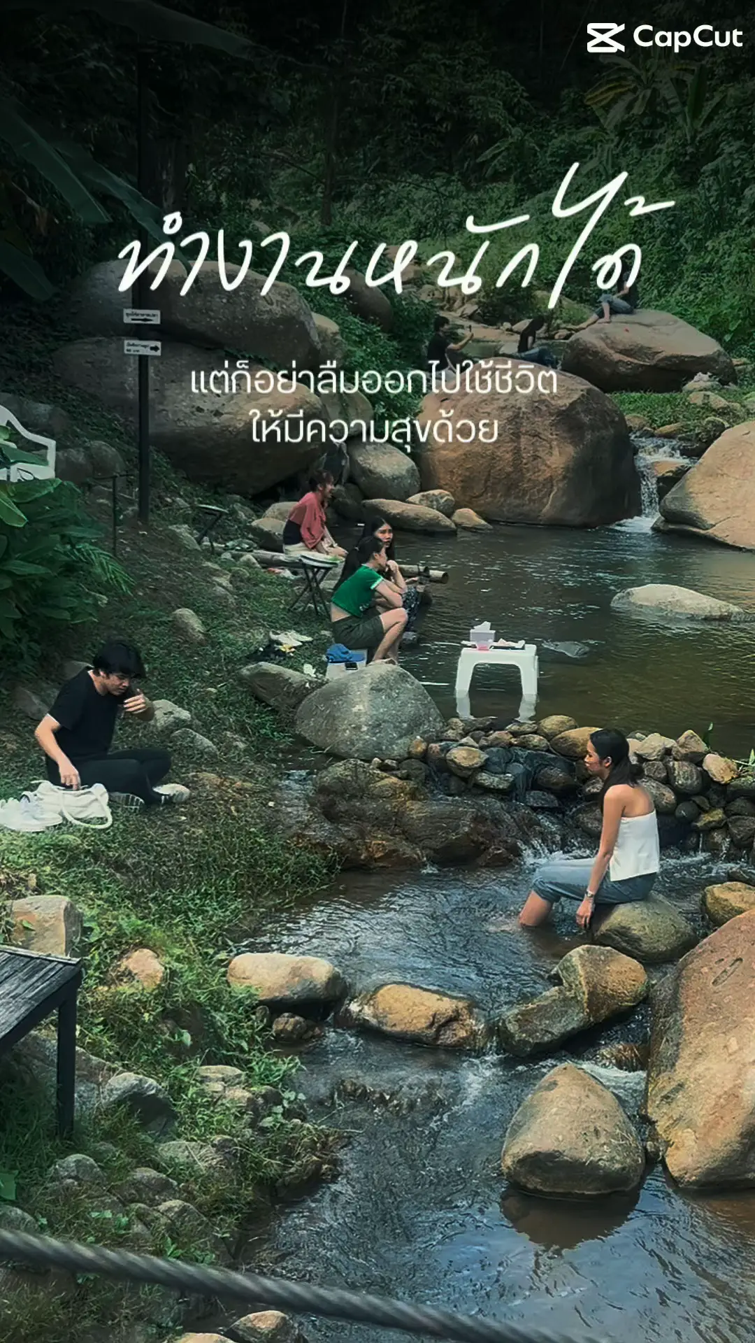 คาเฟ่ คาใจ ดอยลิไข่ คาเฟ่สายธร | วิดีโอที่เผยแพร่โดย Teerapong Pong | Lemon8