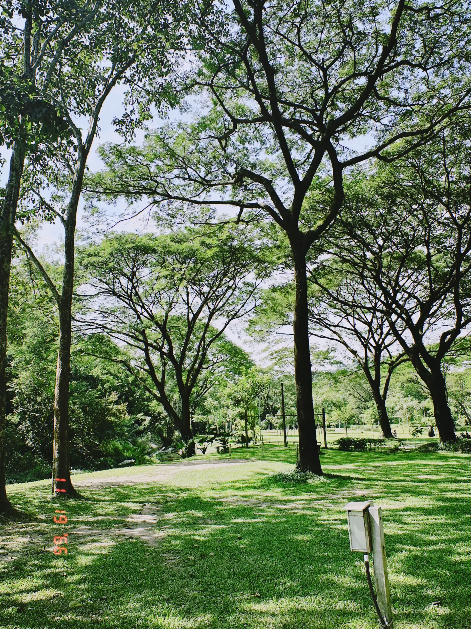 🍃 กางเต็นท์ครั้งแรกในชีวิต ที่สวนยายเภานครนายก ⛺️ | แกลเลอรีที่โพสต์โดย ...