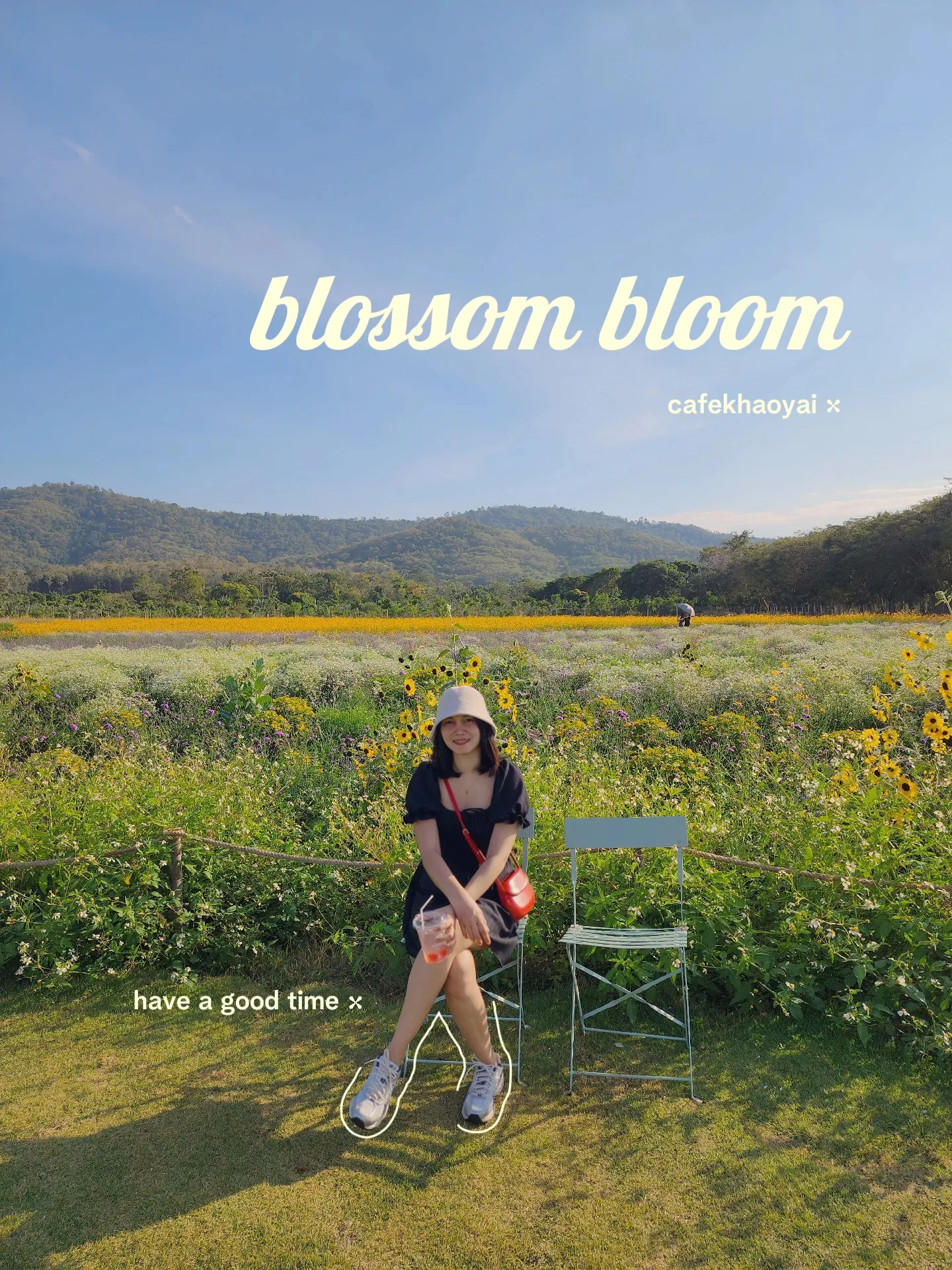 cafe khaoyai | แกลเลอรีที่โพสต์โดย Look Pla | Lemon8