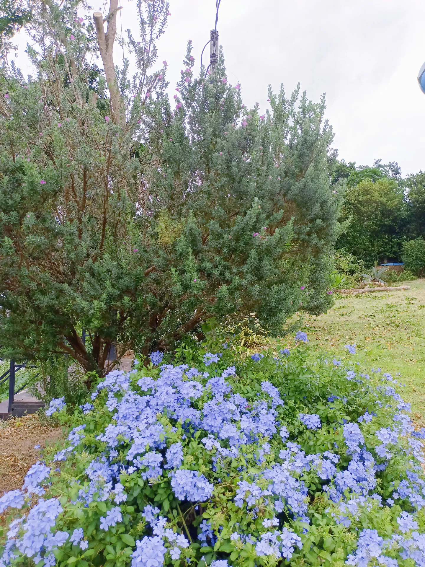 Najan resort | แกลเลอรีที่โพสต์โดย Phatchareeporn | Lemon8