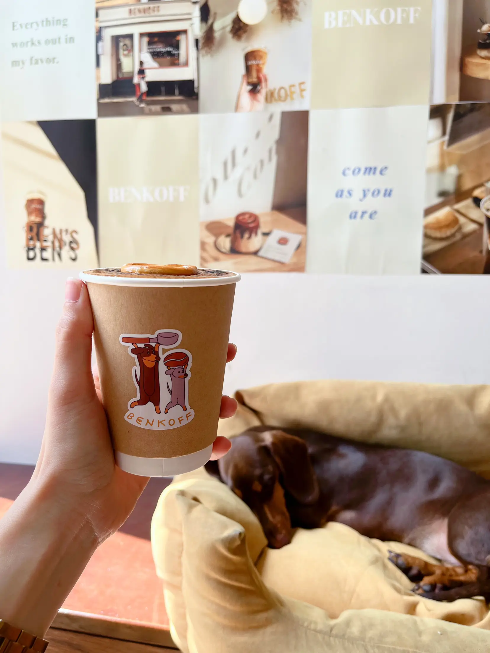 Hi,Bobby&Billy 🐶 | แกลเลอรีที่โพสต์โดย 💋KUKSAN💋 | Lemon8