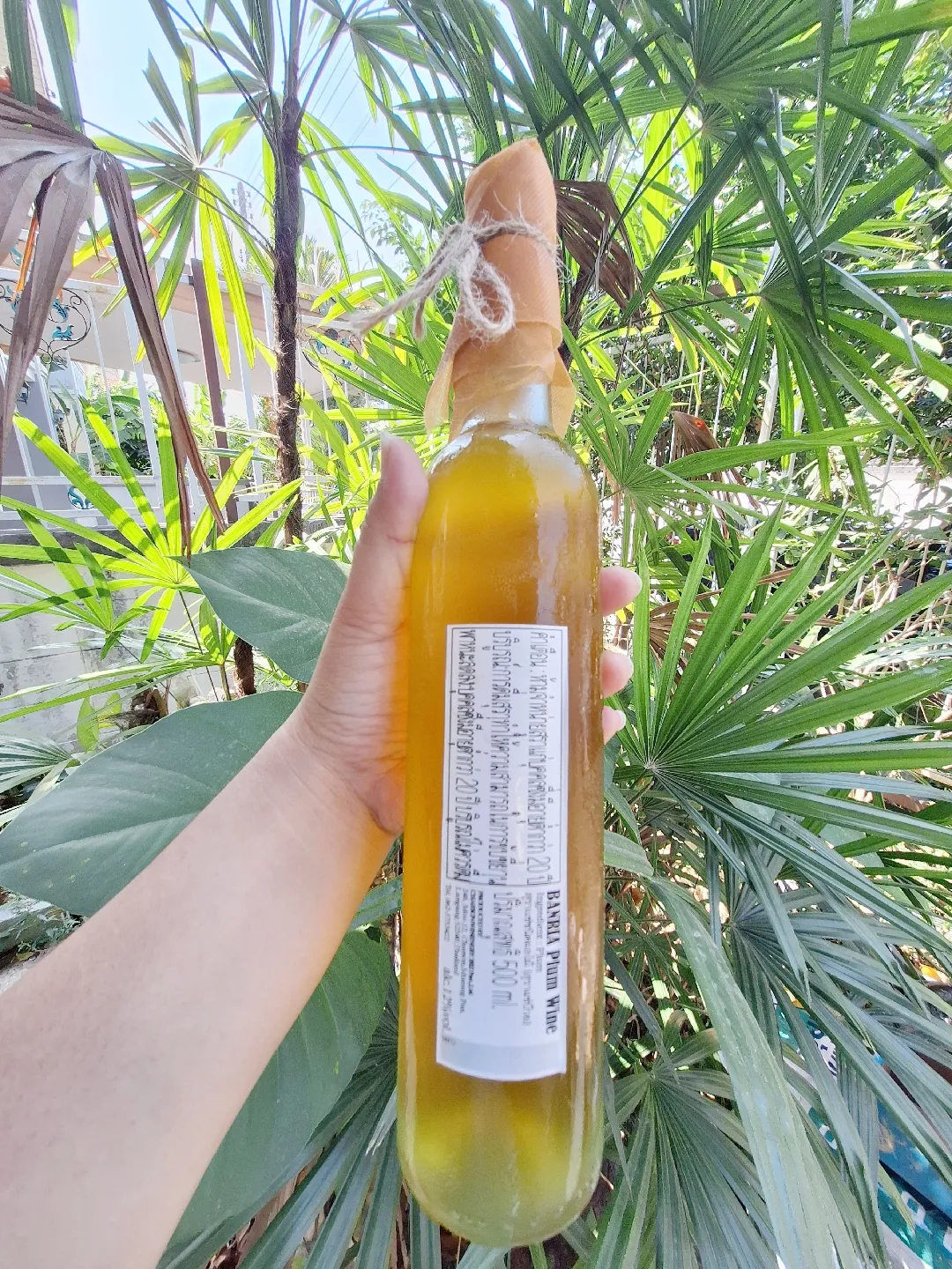 banria plum wine เหล้าบ๊วย | แกลเลอรีที่โพสต์โดย 🌤ph@w@n🤝 | Lemon8