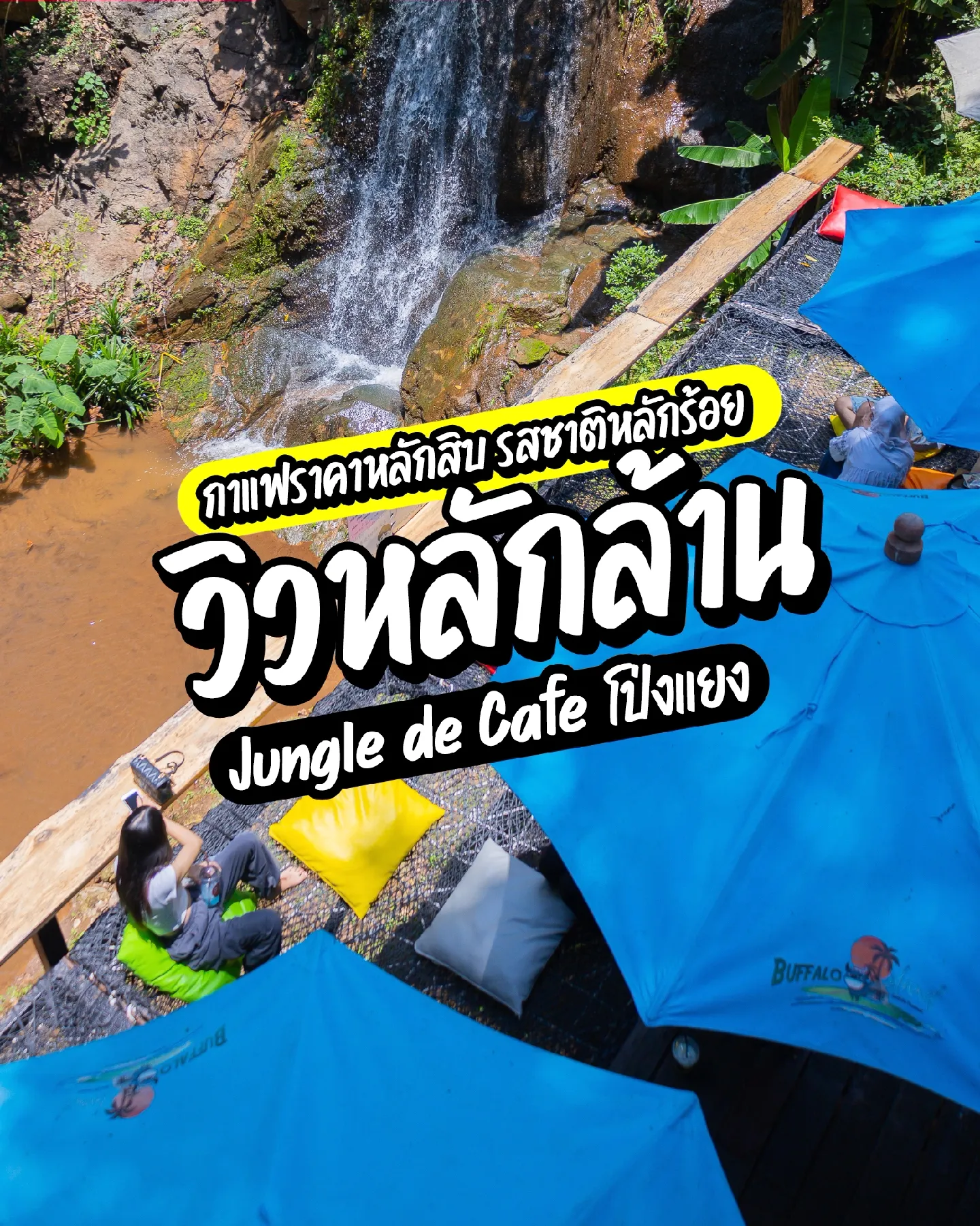 Jungle de Cafe สาขาโป่งแยง | แกลเลอรีที่โพสต์โดย Checkin Channel | Lemon8