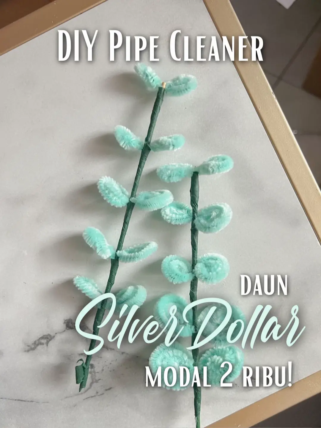 MODAL 2ribu! DIY daun Silver Dollar dari Pipeline | Video ...