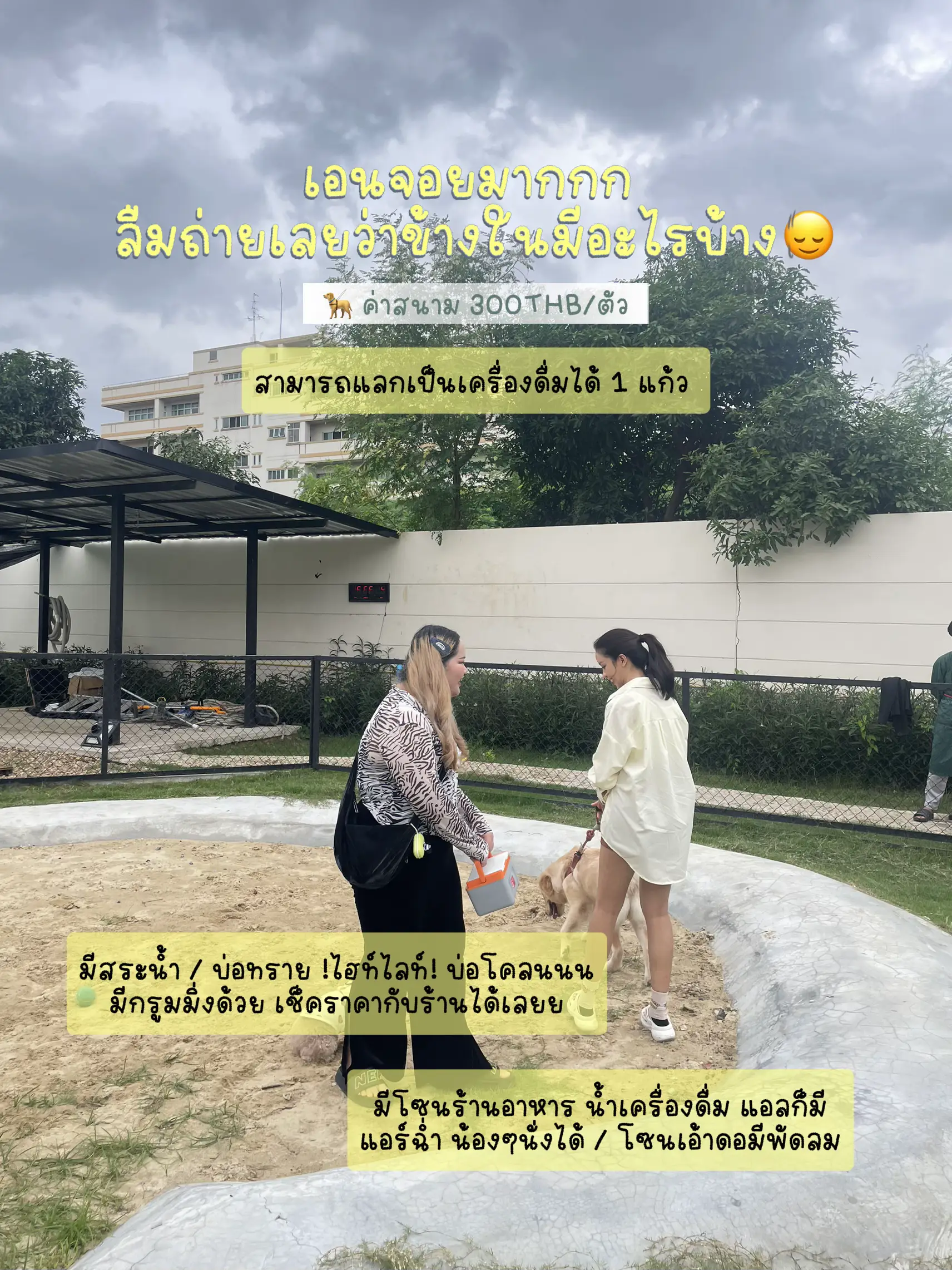 DOG’S DREAM บาร์ที่พาน้องหมา/แมว ไปได้ 😍 | แกลเลอรีที่โพสต์โดย Ploypai | Lemon8