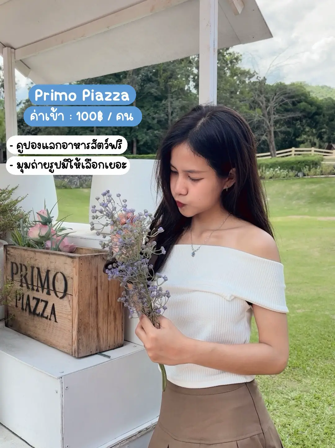 เขาใหญ่ 2024💖 | แกลเลอรีที่โพสต์โดย Ployyyy🍪 | Lemon8
