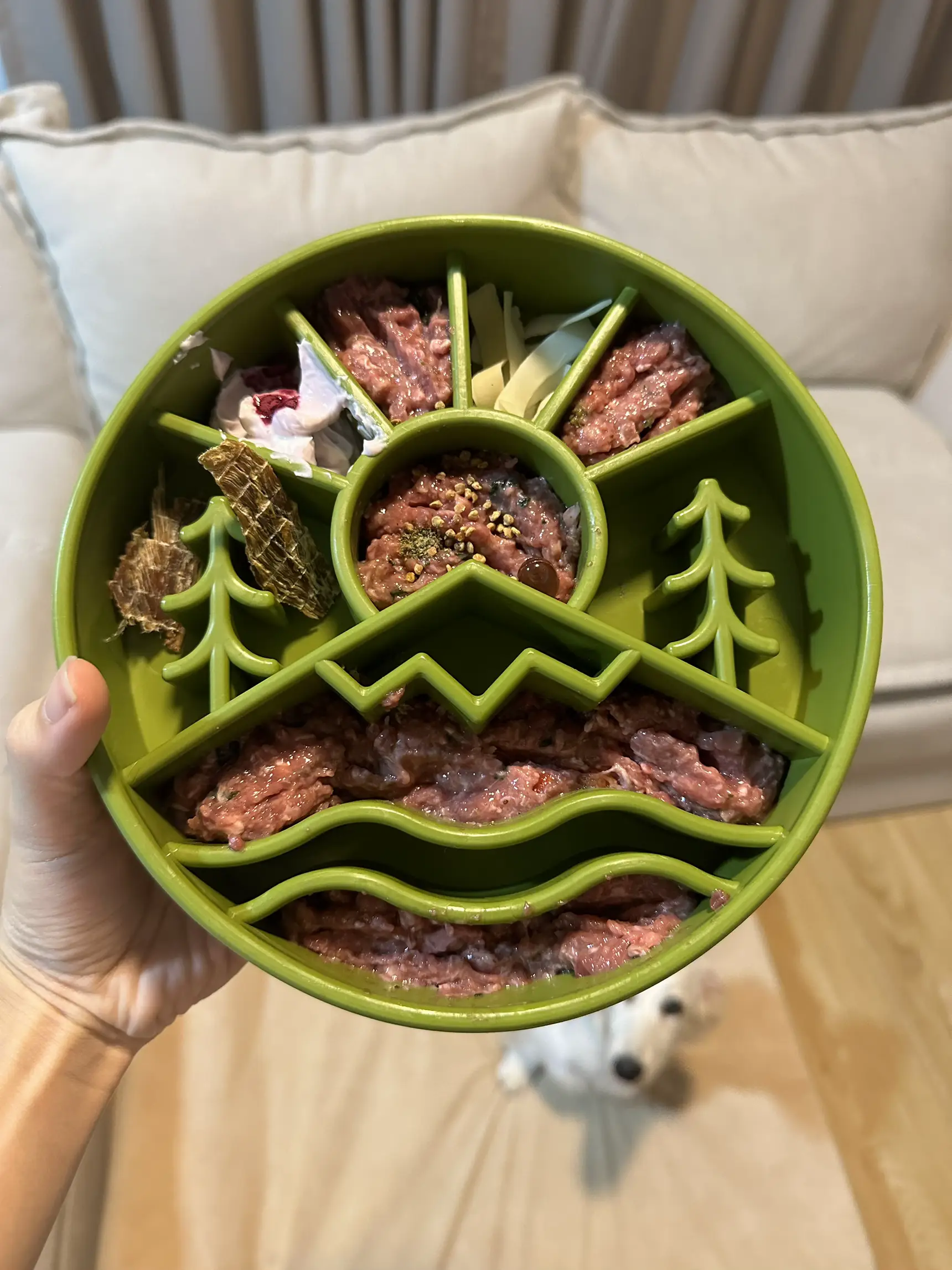 รวม Food Prep ของเจ้าหมาน้อย🐶 | แกลเลอรีที่โพสต์โดย แก๊งสี่กุมาร 🐶 | Lemon8