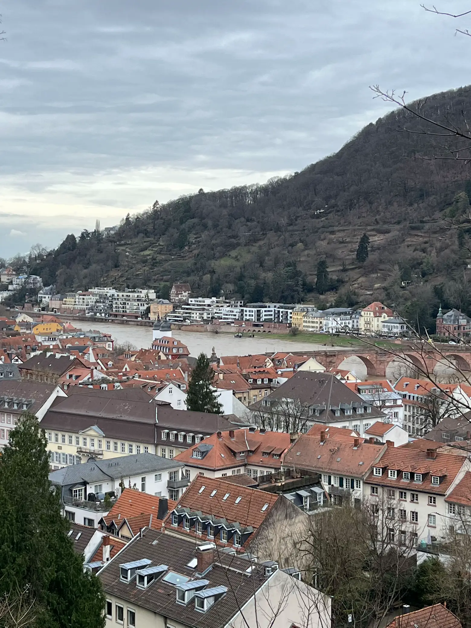 one day trip เมืองเล็กๆ ที่เยอรมัน Heidelberg 🇩🇪 | แกลเลอรีที่โพสต์โดย ...