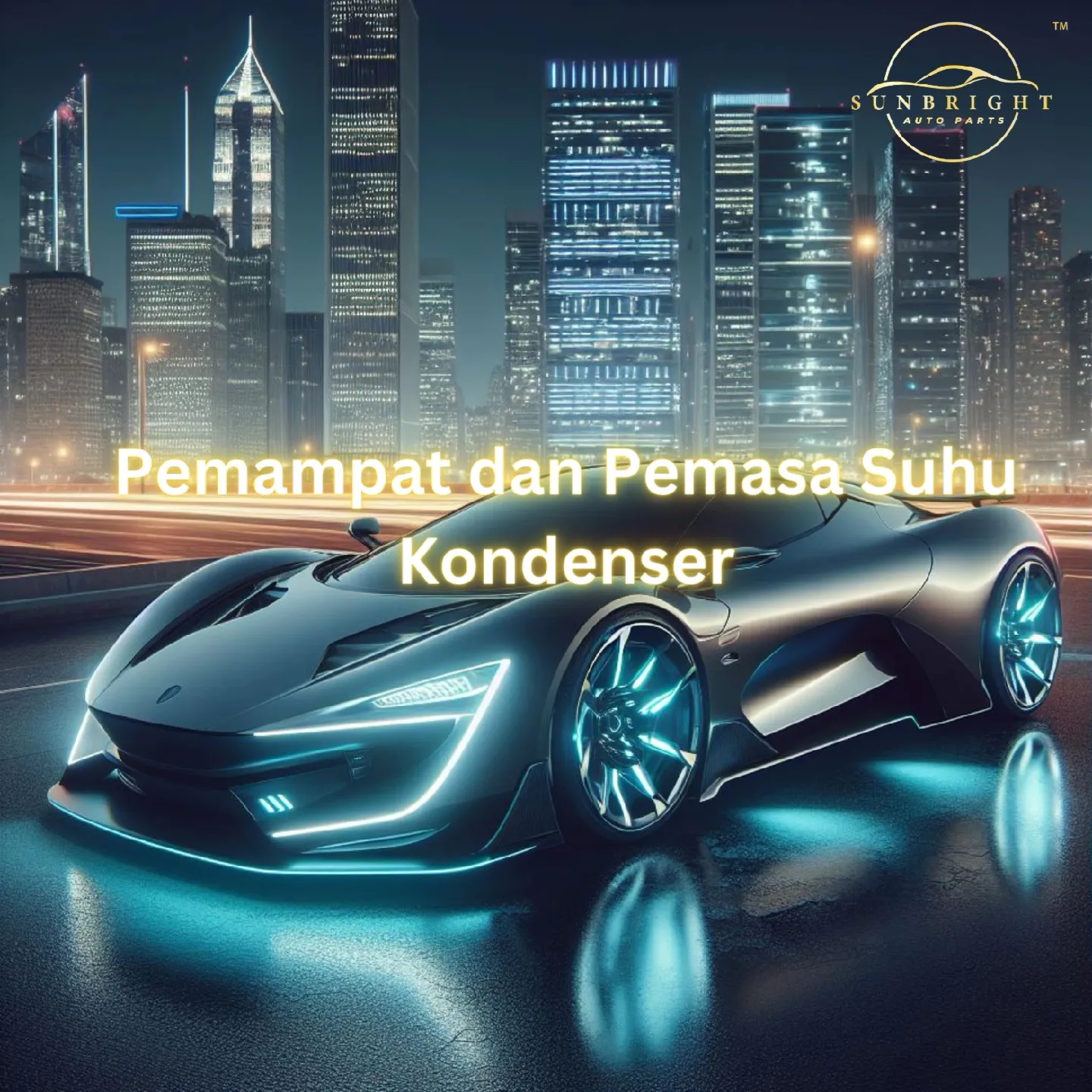 Pemampat dan Pemasa Suhu Kondenser | Galeri disiarkan oleh ...