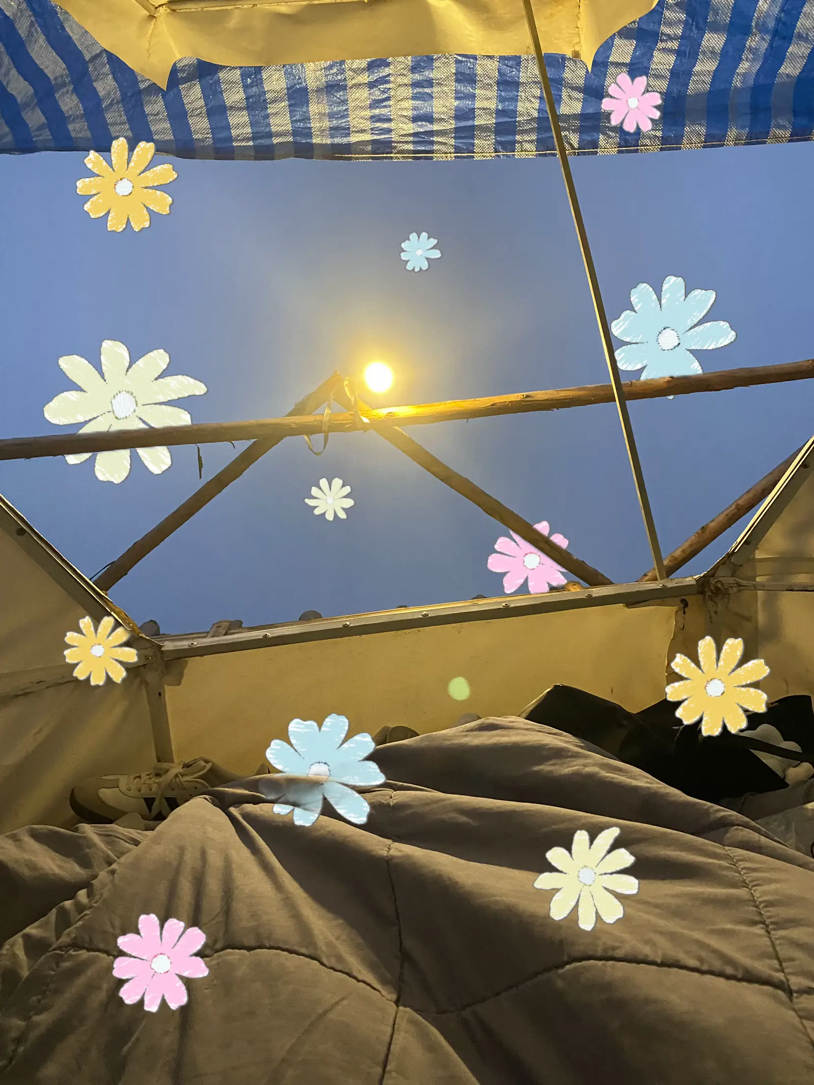 สวนสวรรค์ ภูทับเบิก | แกลเลอรีที่โพสต์โดย BELLॱଳ͘ | Lemon8