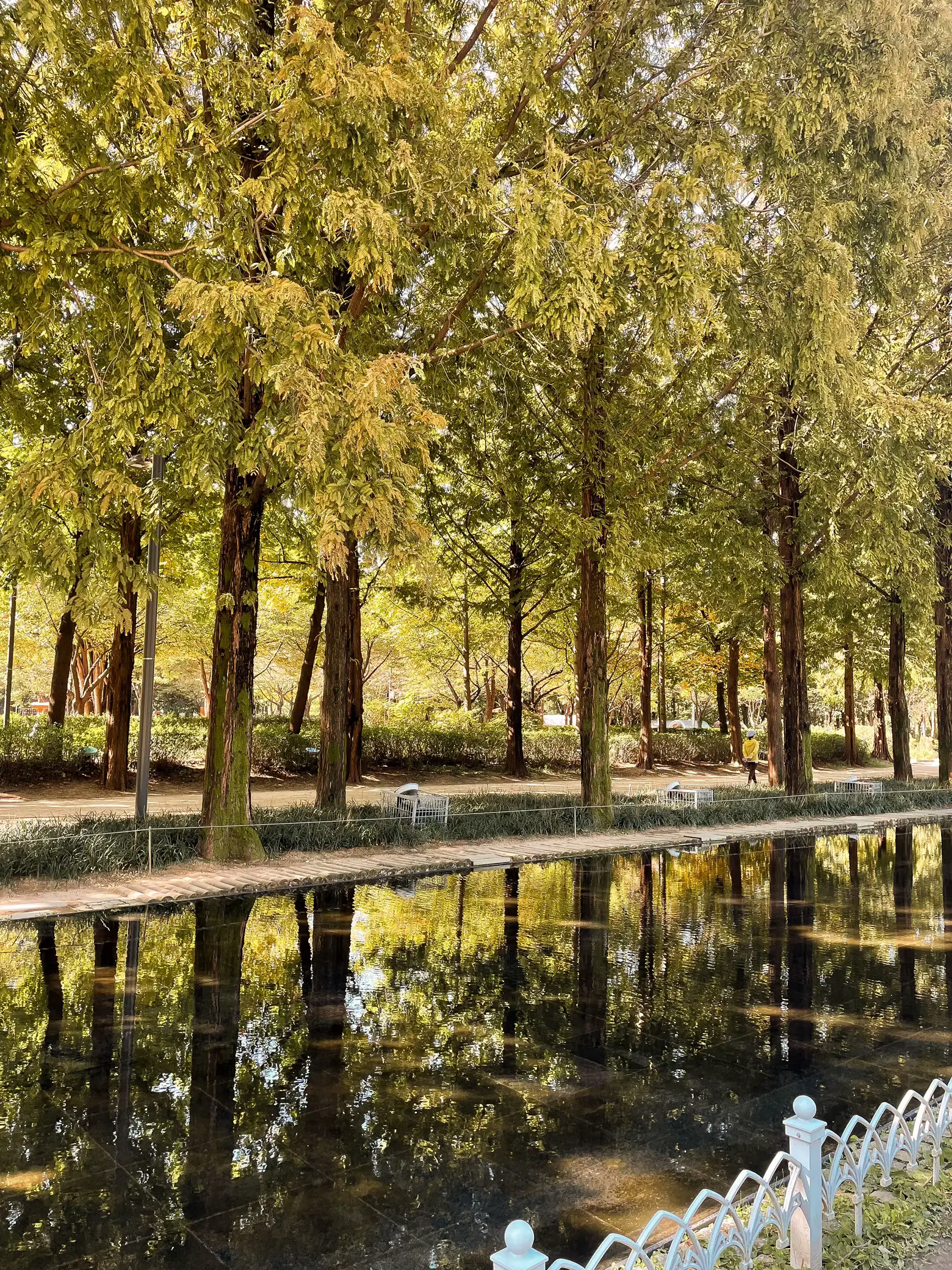 Autumn in Seoul Forest Park🌙 | แกลเลอรีที่โพสต์โดย Stockhome | Lemon8