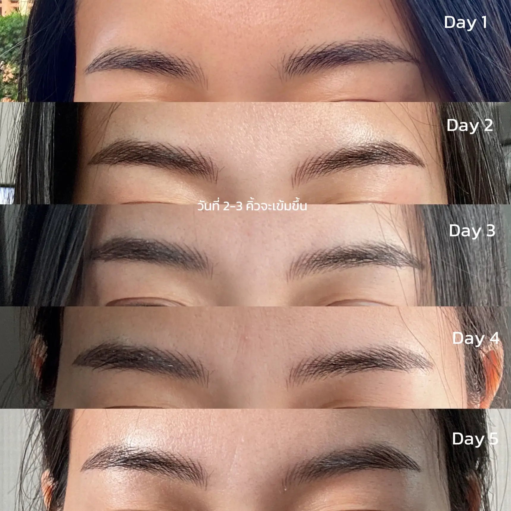 รีวิวสักคิ้วครั้งแรกในชีวิต! แบบ Microblading 6D | แกลเลอรีที่โพสต์โดย SsMint | Lemon8