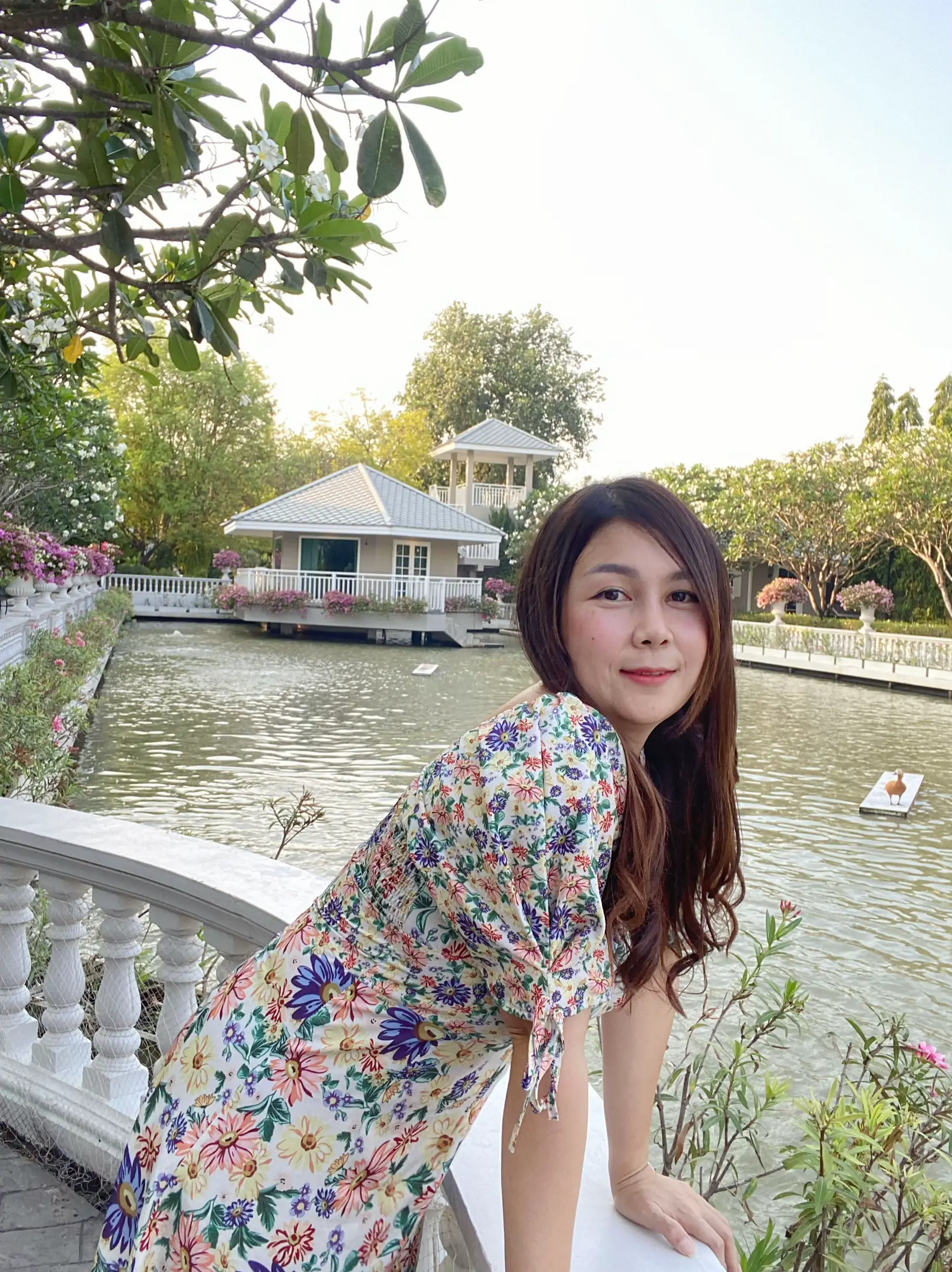 Wild Duck Cafe (คาเฟ่เป็ด)🐥 | แกลเลอรีที่โพสต์โดย Aomjaii (AJ) ♡ | Lemon8