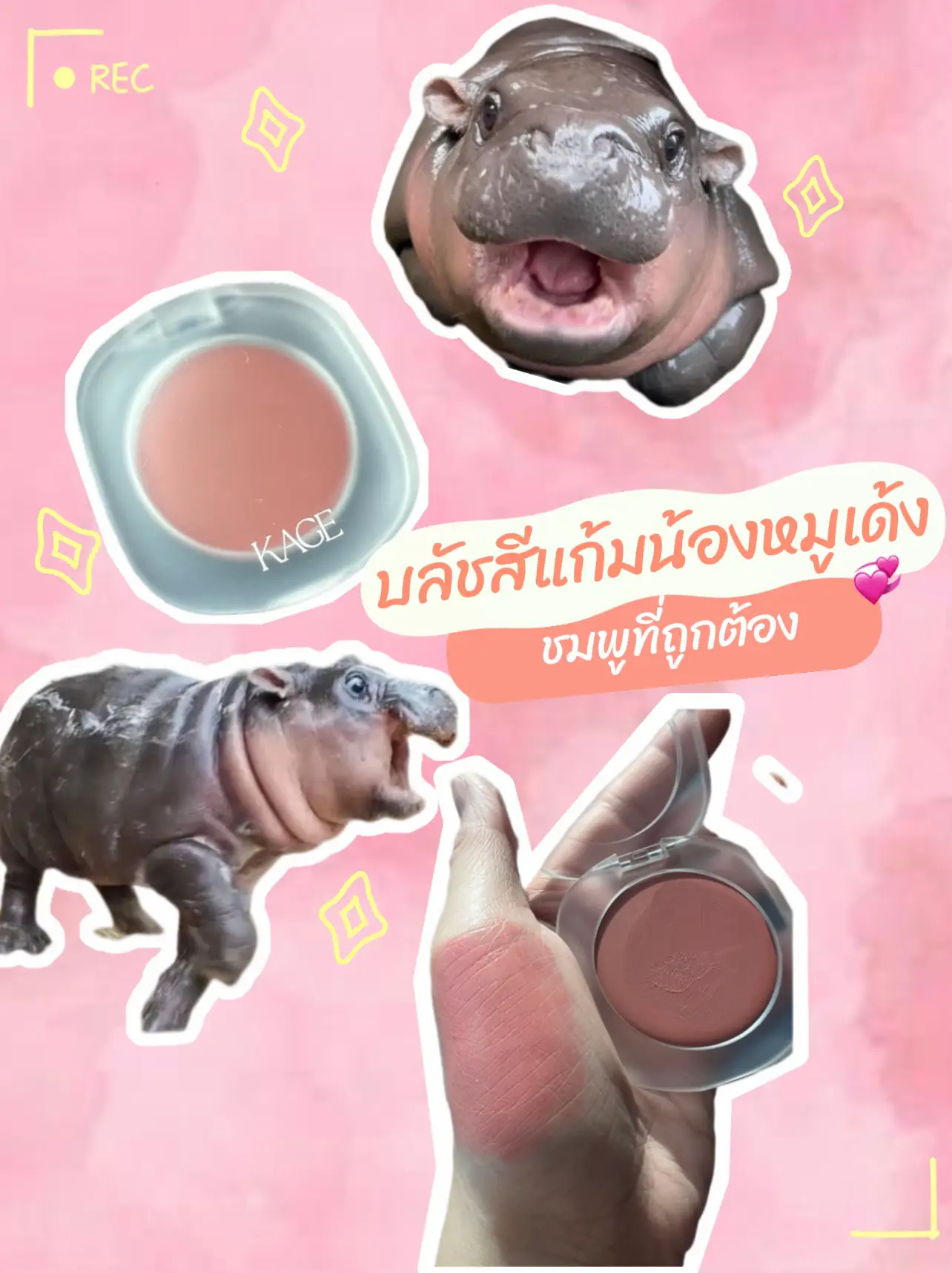บลัชสีแก้มน้องหมูเด้ง..ที่หลงรัก😍🥰 | แกลเลอรีที่โพสต์โดย Pookie Pook ...