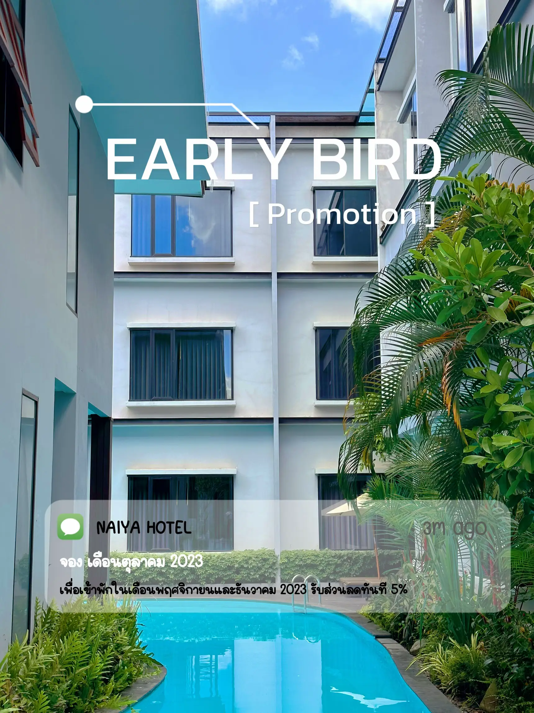 EARLY BIRD | แกลเลอรีที่โพสต์โดย . | Lemon8