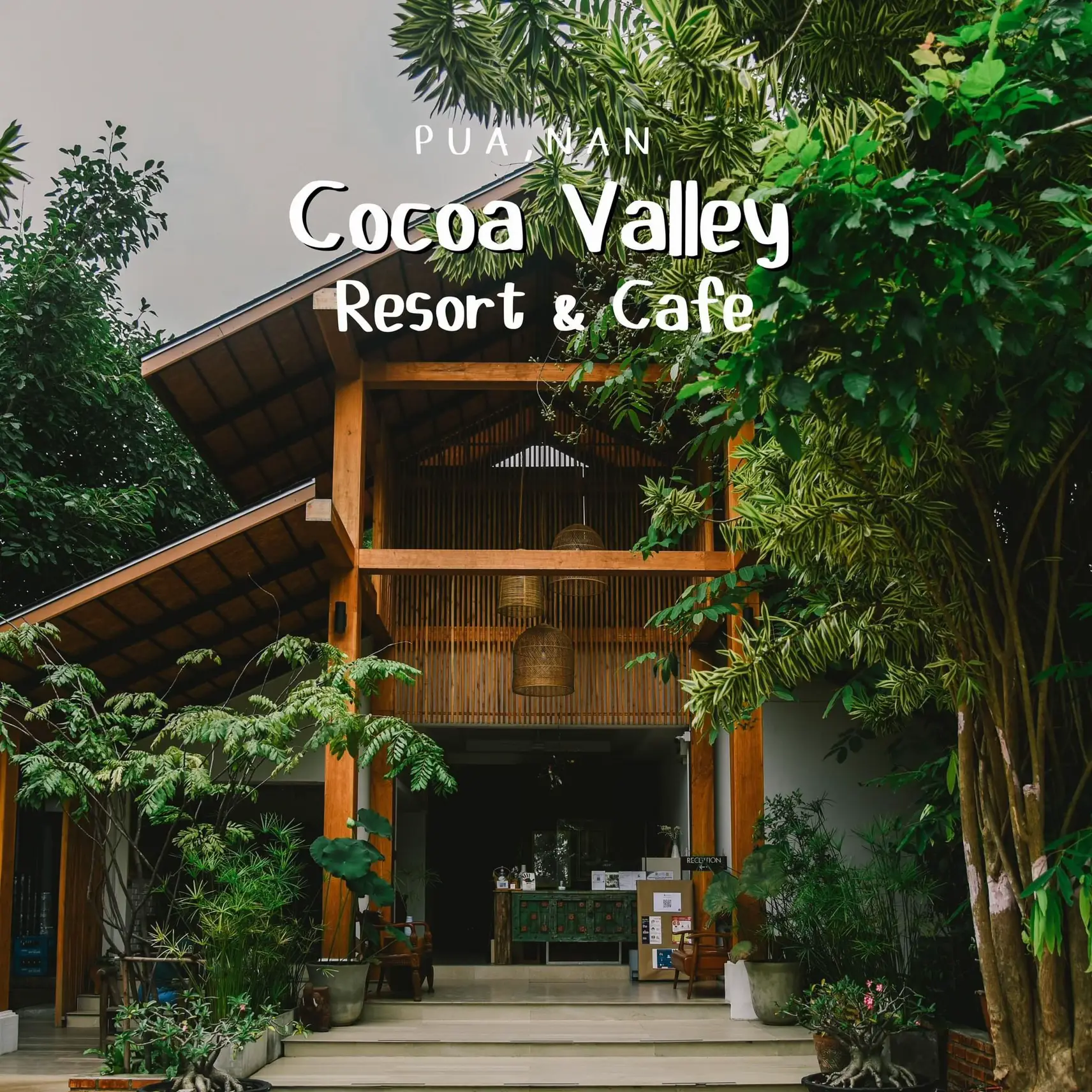 คาเฟ่สุดเก๋ในสวนโกโก้ | แกลเลอรีที่โพสต์โดย Khonkheetiew | Lemon8