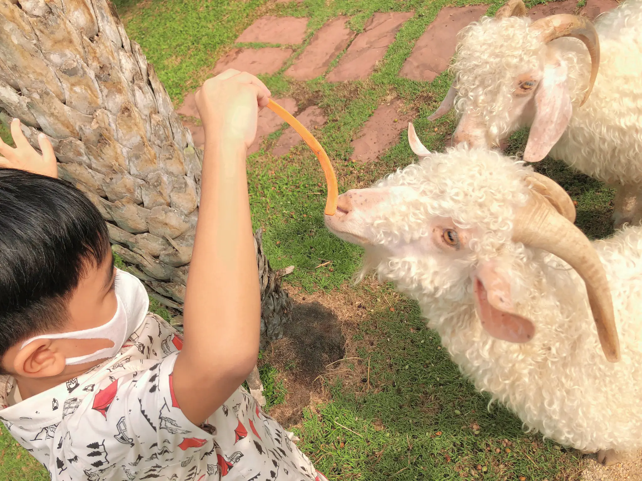 One Day Trip in ฉะเชิงเทรา | แกลเลอรีที่โพสต์โดย 💄👗doo_se_nu_nut | Lemon8