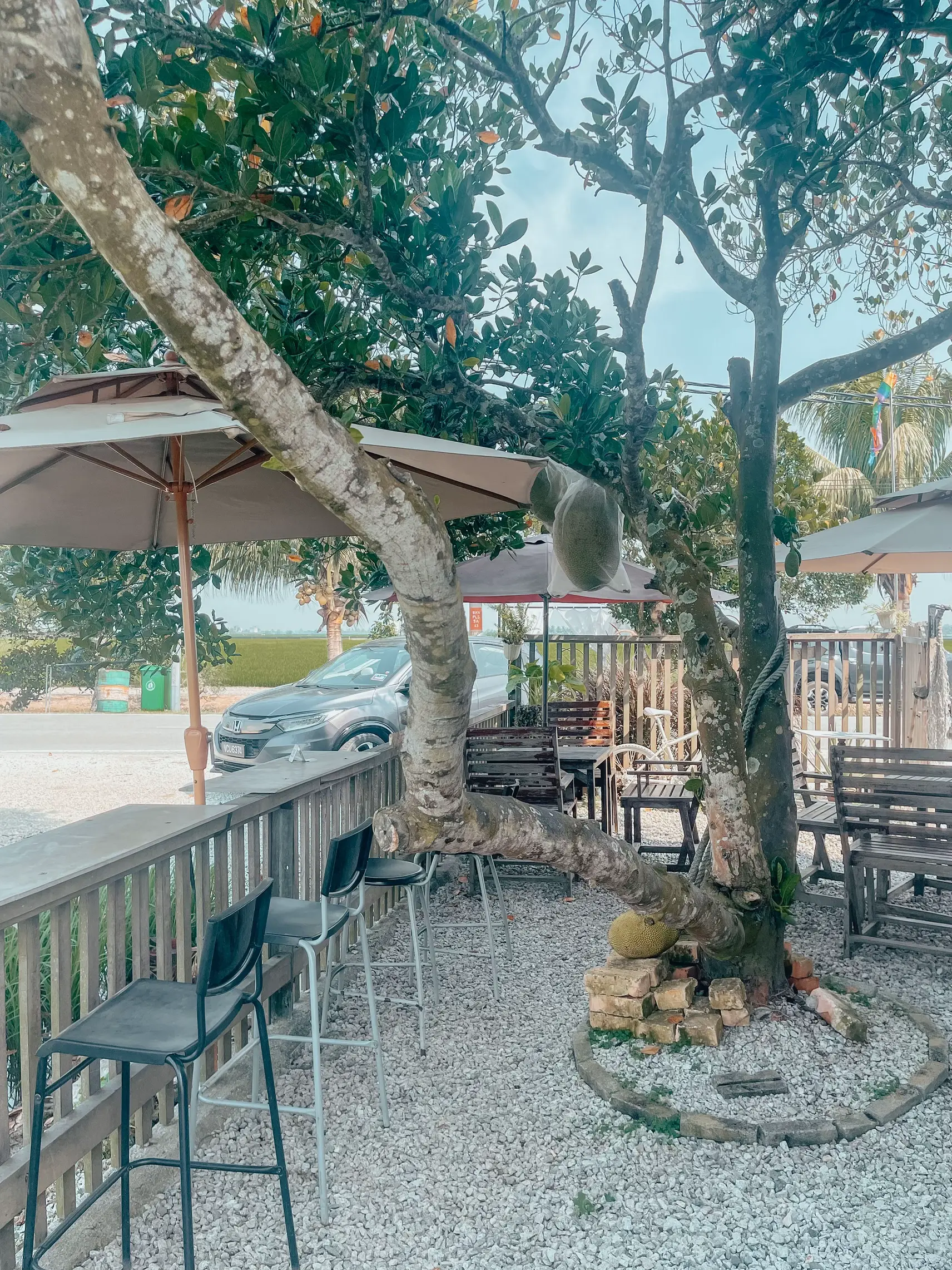 📍Hay! Paddy Cafe, Sekinchan | Galeri disiarkan oleh Shadada | Lemon8