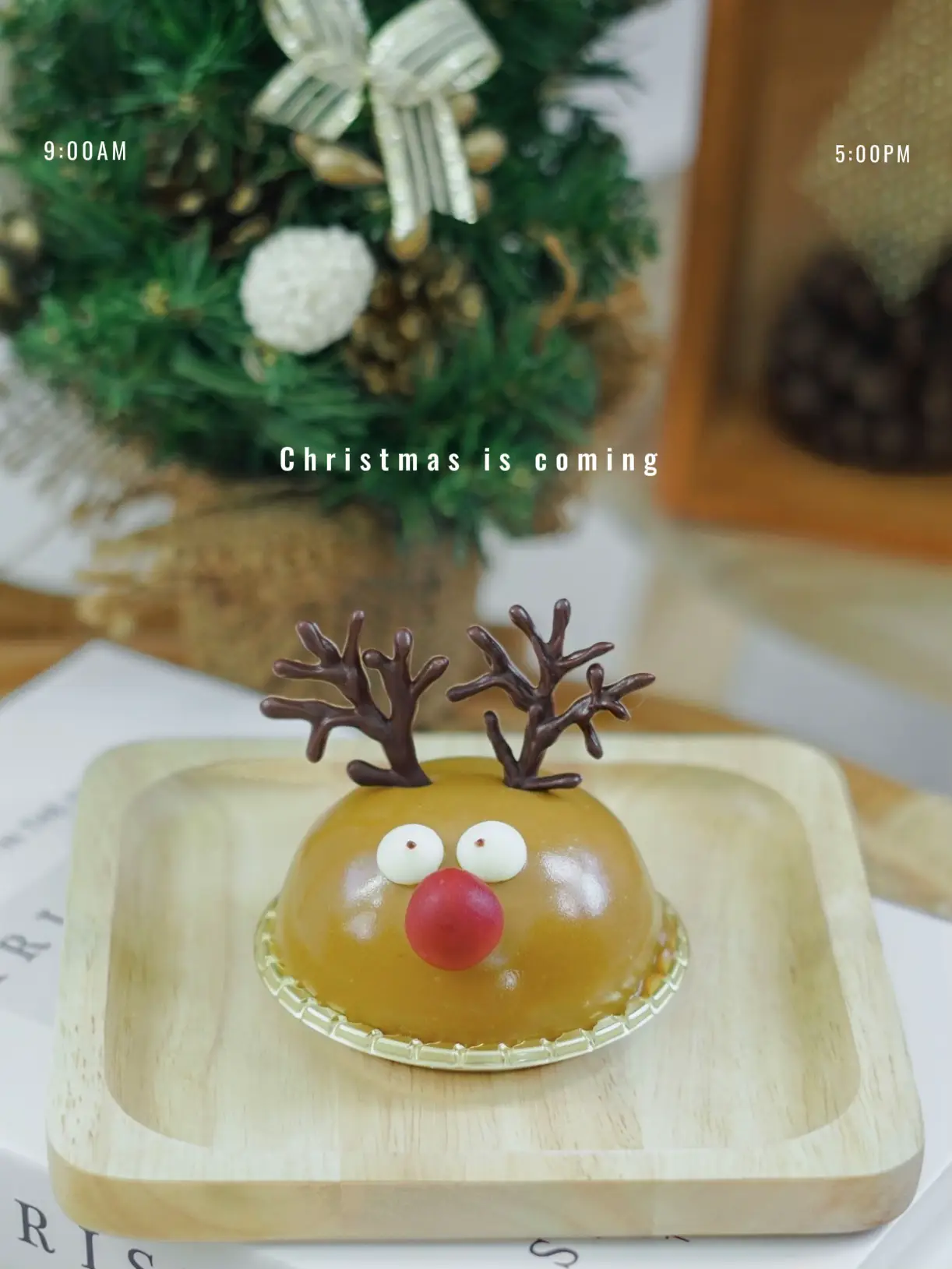 Rudolph the Reindeer | แกลเลอรีที่โพสต์โดย A-mai (อะมั่ย) | Lemon8