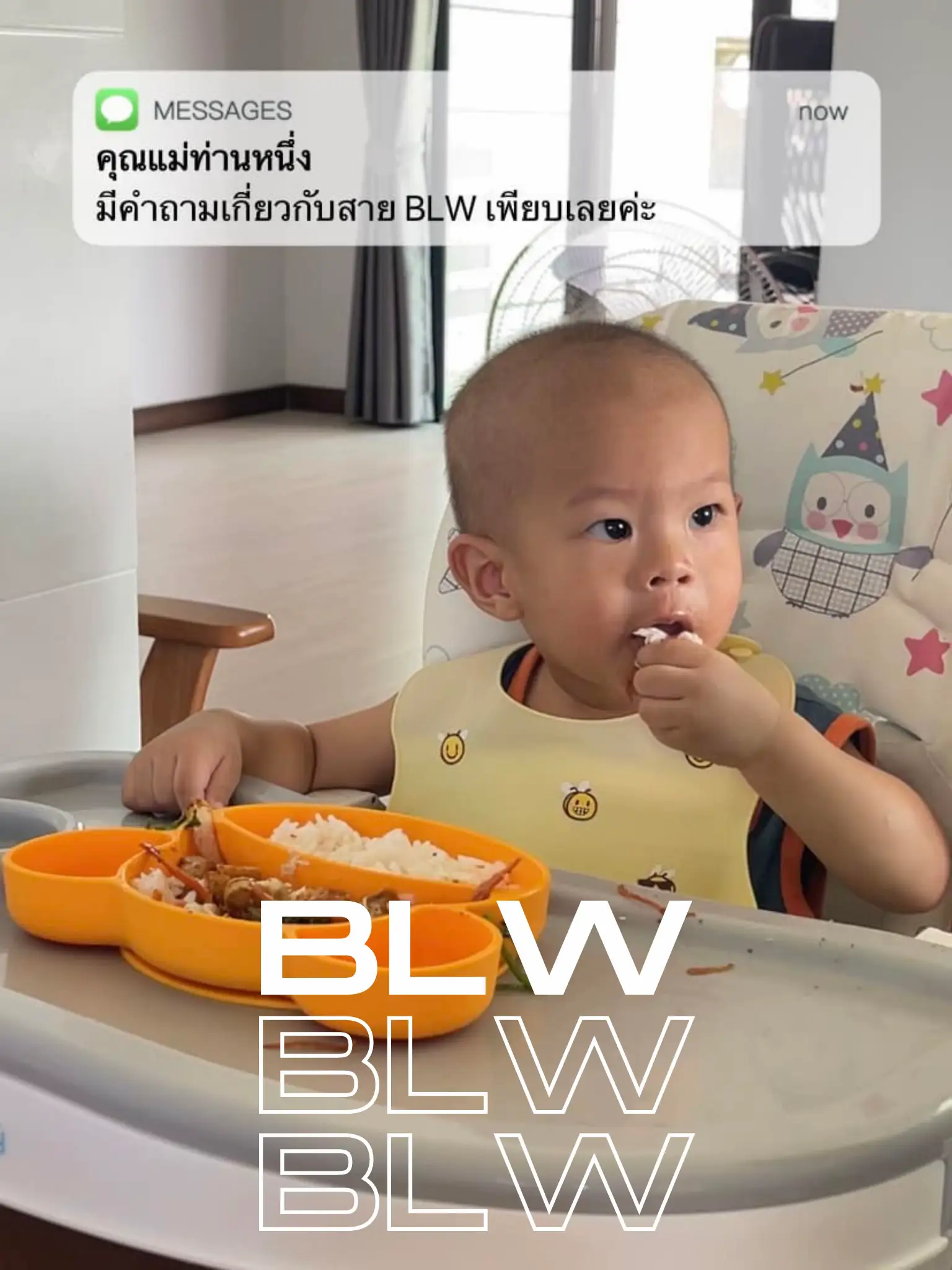 ไขข้อข้อใจ BLW คืออะไร เริ่มยังไง ในโพสนี้ | แกลเลอรีที่โพสต์โดย Mama Rose | Lemon8