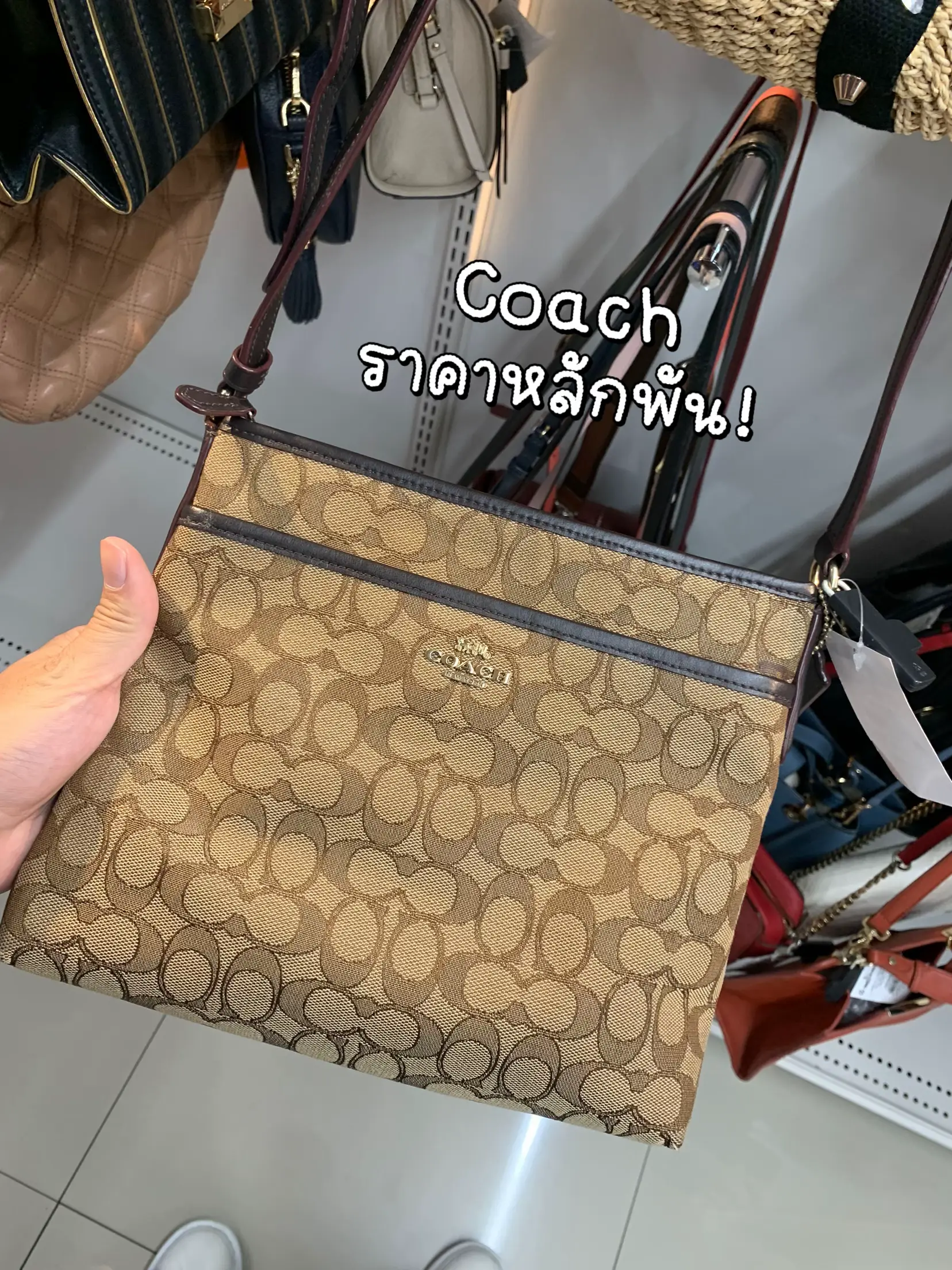 Coachราคาหลักพัน! | แกลเลอรีที่โพสต์โดย balen | Lemon8