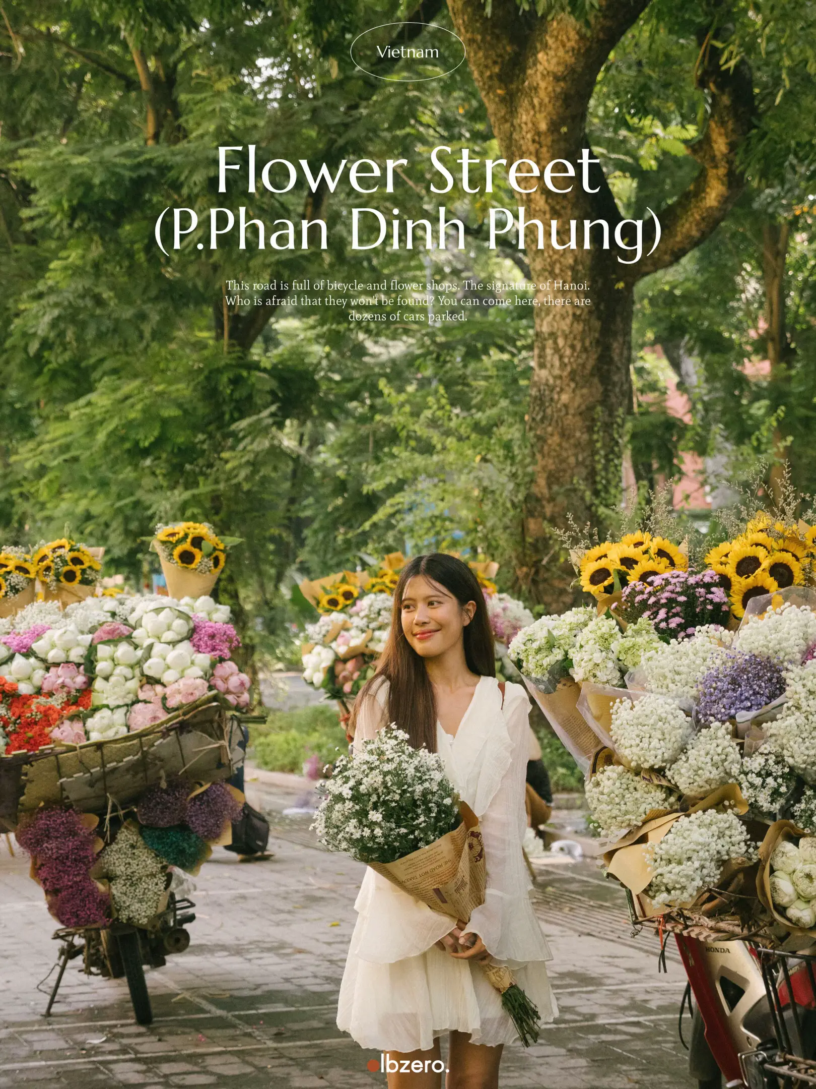 Flower Street (P. Phan Đình Phùng) 💐🌷 | แกลเลอรีที่โพสต์โดย lbzero | Lemon8