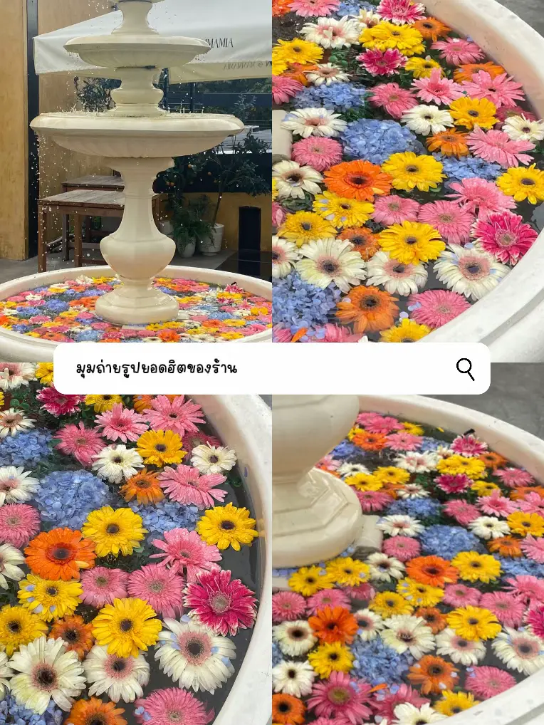 Cafe Dalmatian🐾 คาเฟ่ยอดฮิตย่านสยาม | แกลเลอรีที่โพสต์โดย Iam.bow | Lemon8