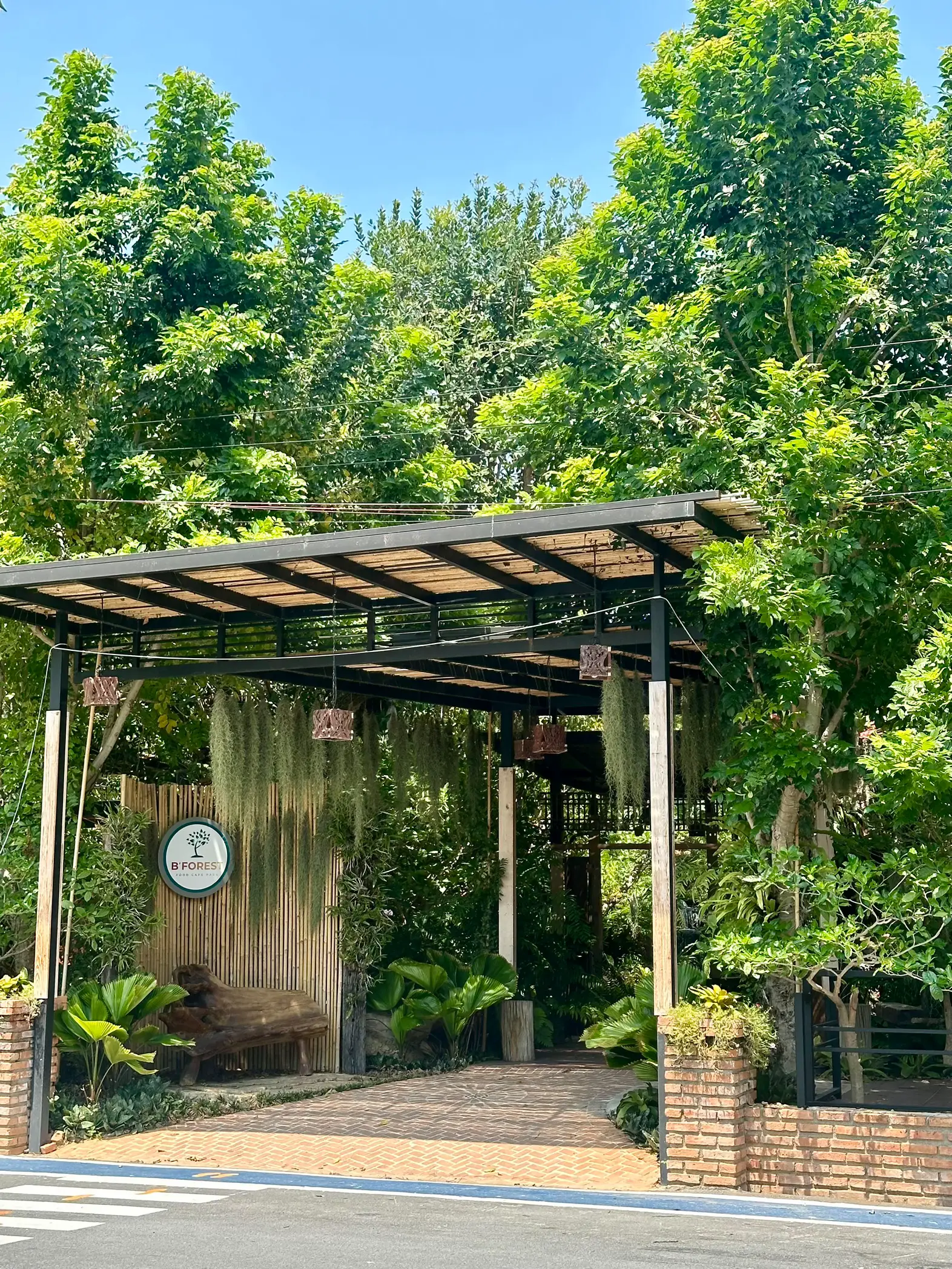 B forest Cafe 🌳🌿 #คาเฟ่ในสวน #เปิดใหม่ #ระยอง | แกลเลอรีที่โพสต์โดย On ...