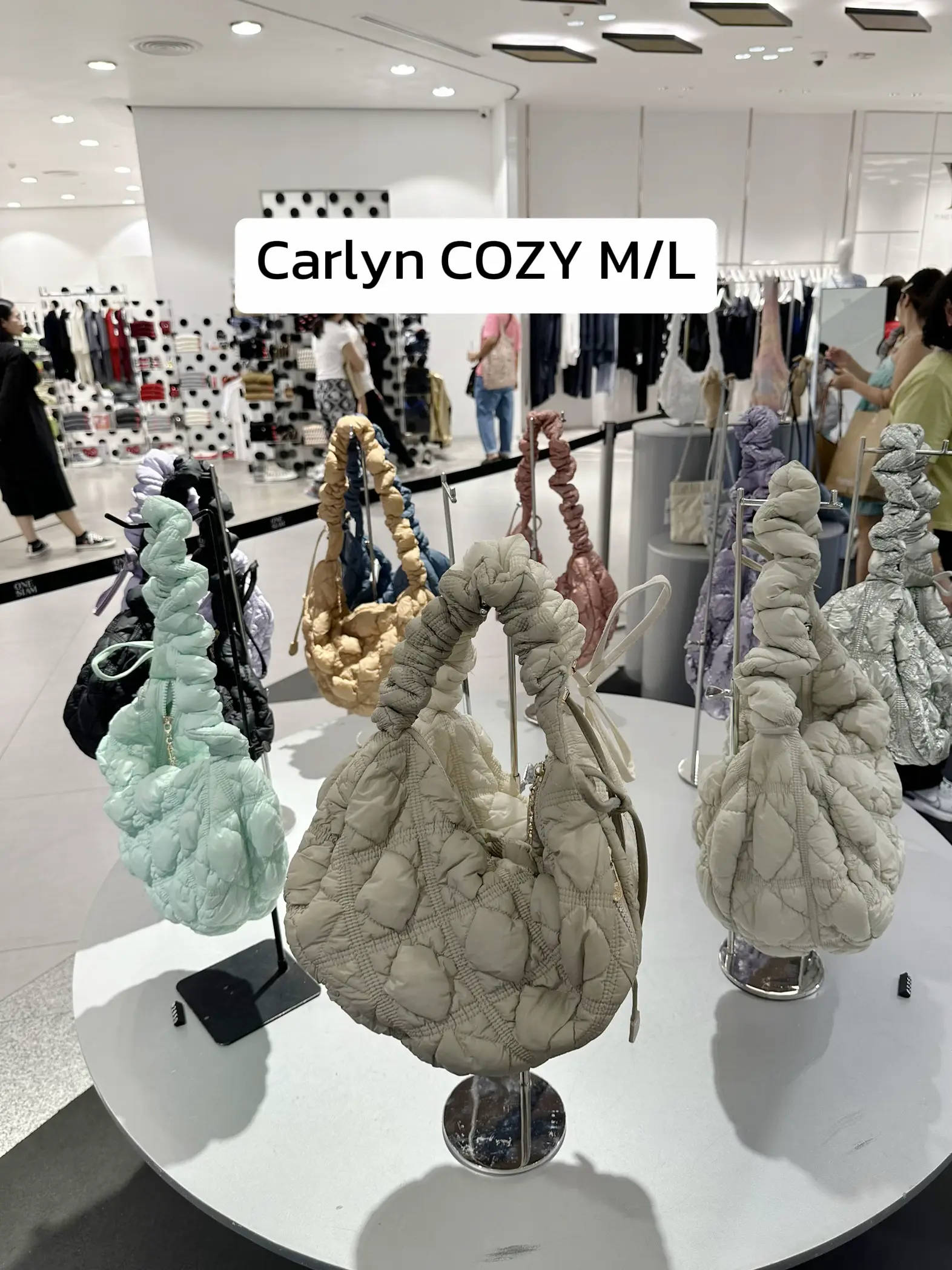 💗อัพเดทกระเป๋า CARLYN คอลใหม่ | แกลเลอรีที่โพสต์โดย Kade.journal🍃 🏻 | Lemon8