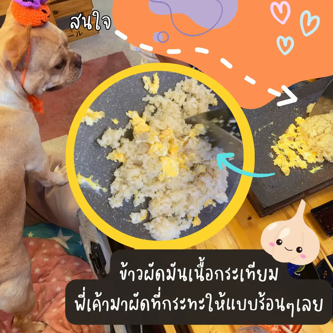 ร้านเนื้อย่าง หมาเข้าได้🥰🐶 | แกลเลอรีที่โพสต์โดย Mama&Moca | Lemon8