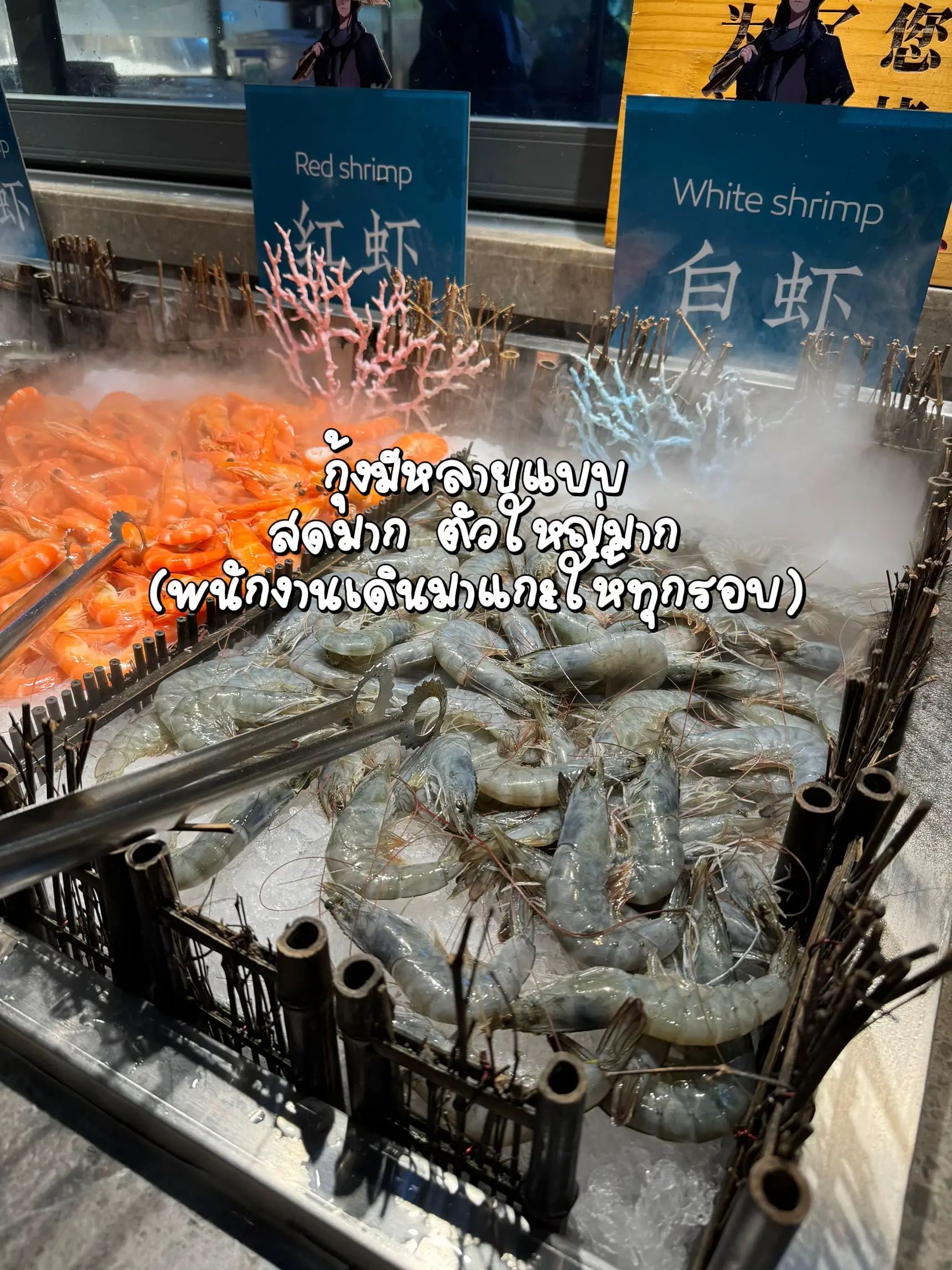 แนะนำบุฟเฟ่ปิ้งย่างร้านดังเซี่ยงไฮ้ 🥓🥩 Dongsheng Buffet | Gallery ...